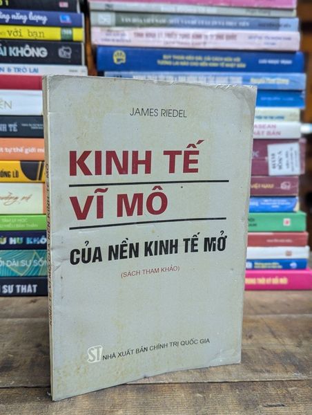 KINH TẾ VĨ MÔ CỦA NỀN KINH TẾ MỞ - JAMES RIEDEL – Momo Bookstore