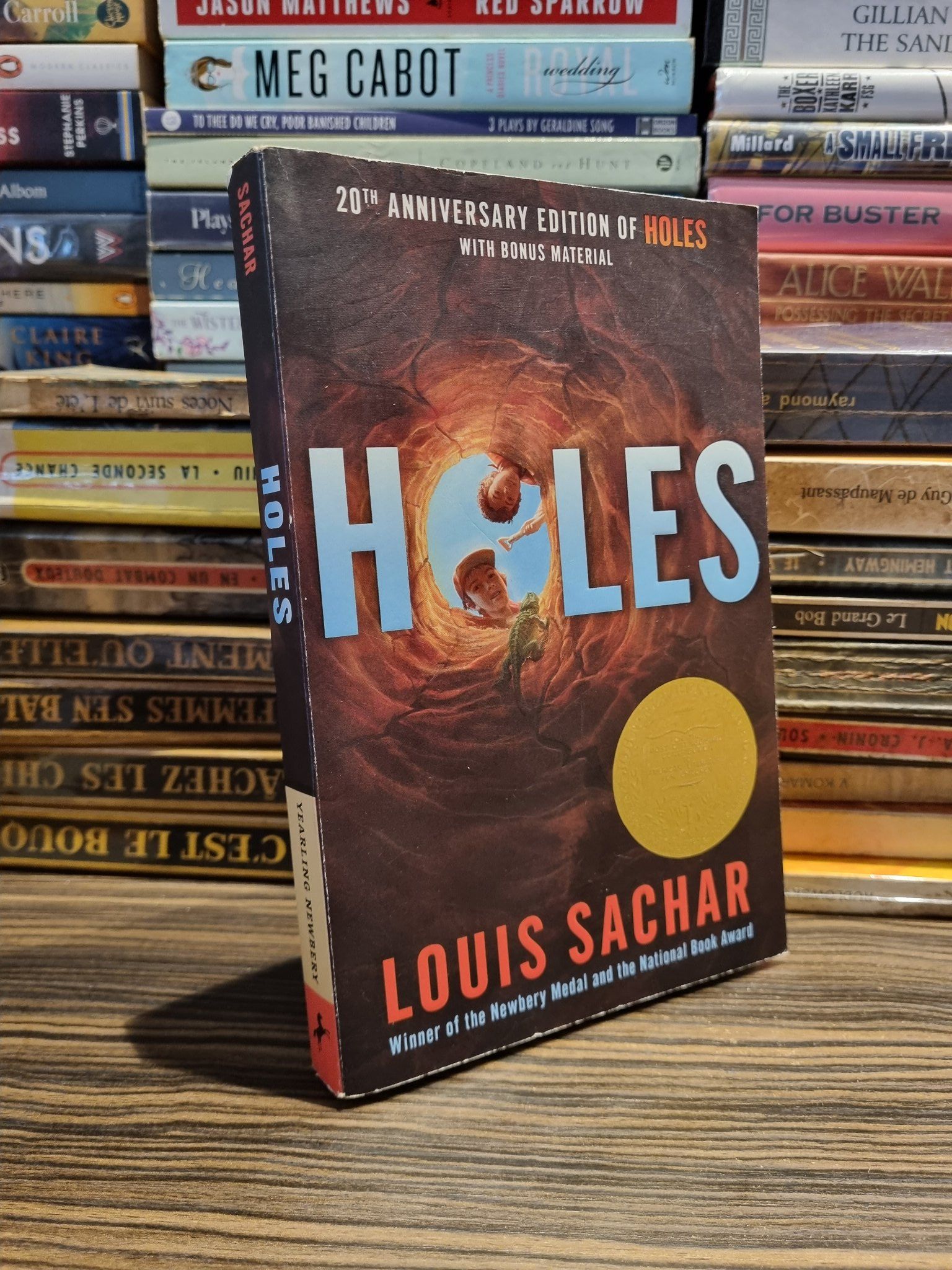 HOLES (20th Anniversary Edition) - Louis Sachar – Momo Bookstore