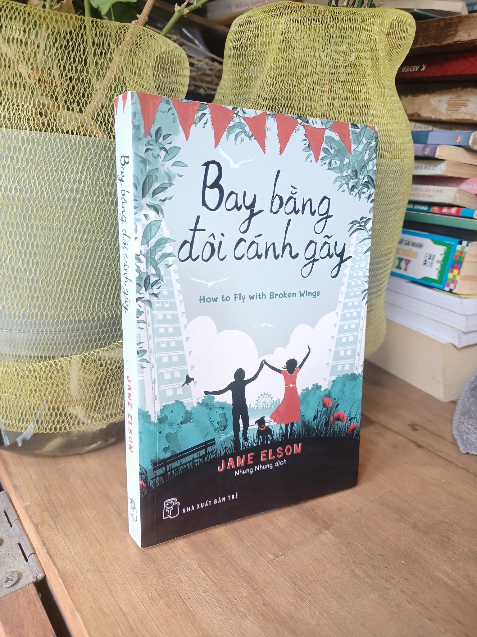 Bay Bằng Đôi Cánh Gãy - JANE ELSON – Momo Bookstore