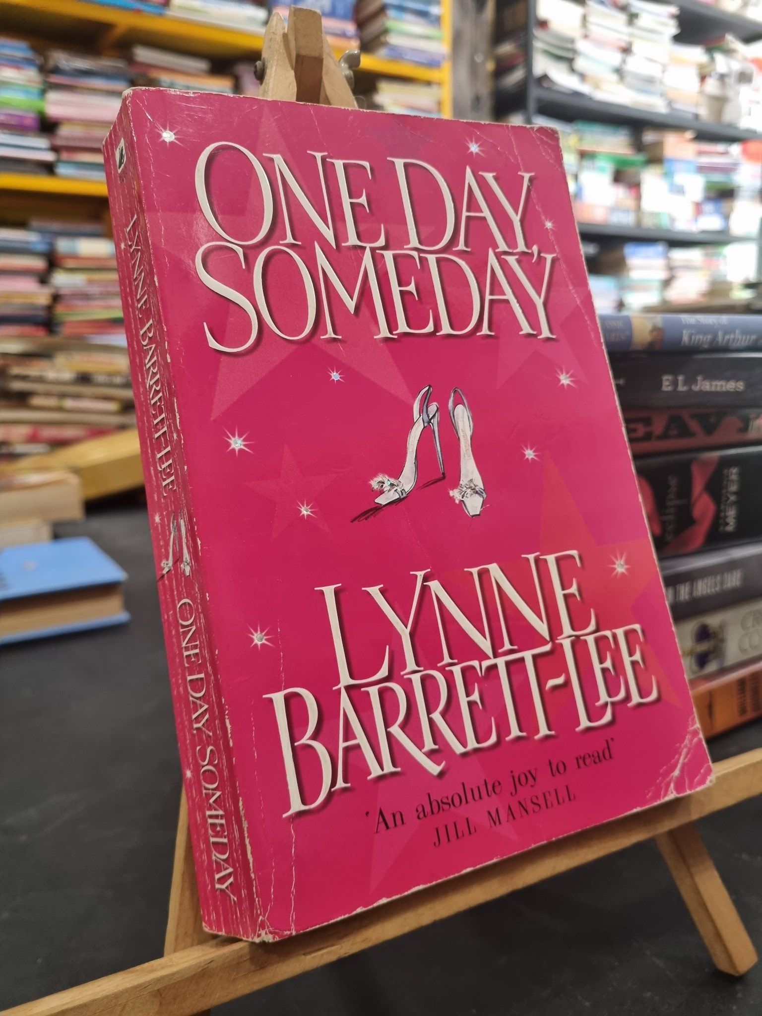 ONE DAY, SOMEDAY - Lynne Barrett-Lee – Momo Bookstore