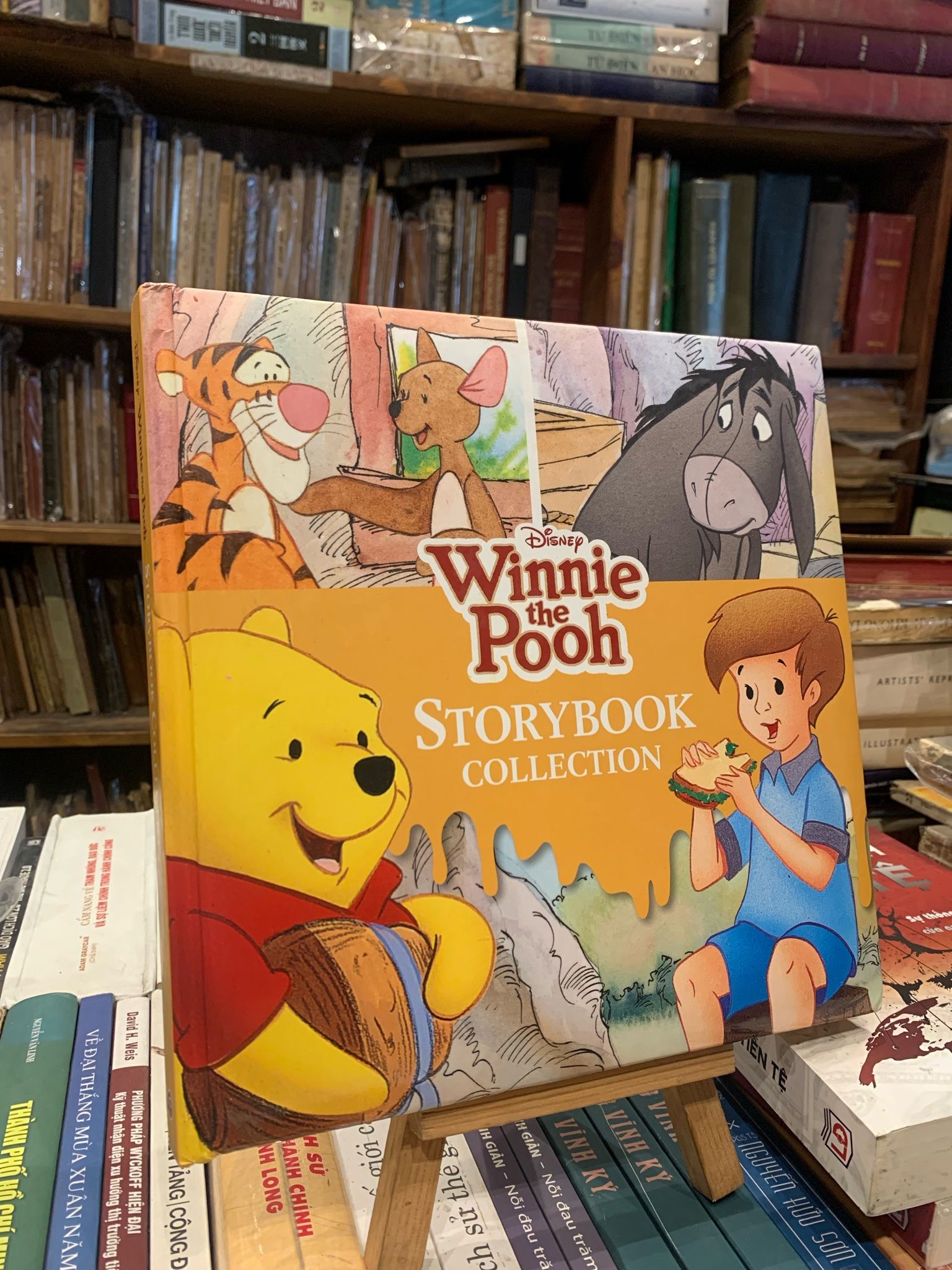 WINNIE THE POOH: STORY BOOK COLLECTION - Disney – Momo Bookstore
