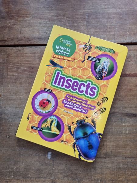 INSECT : National Geographic - Libby Romero – Momo Bookstore