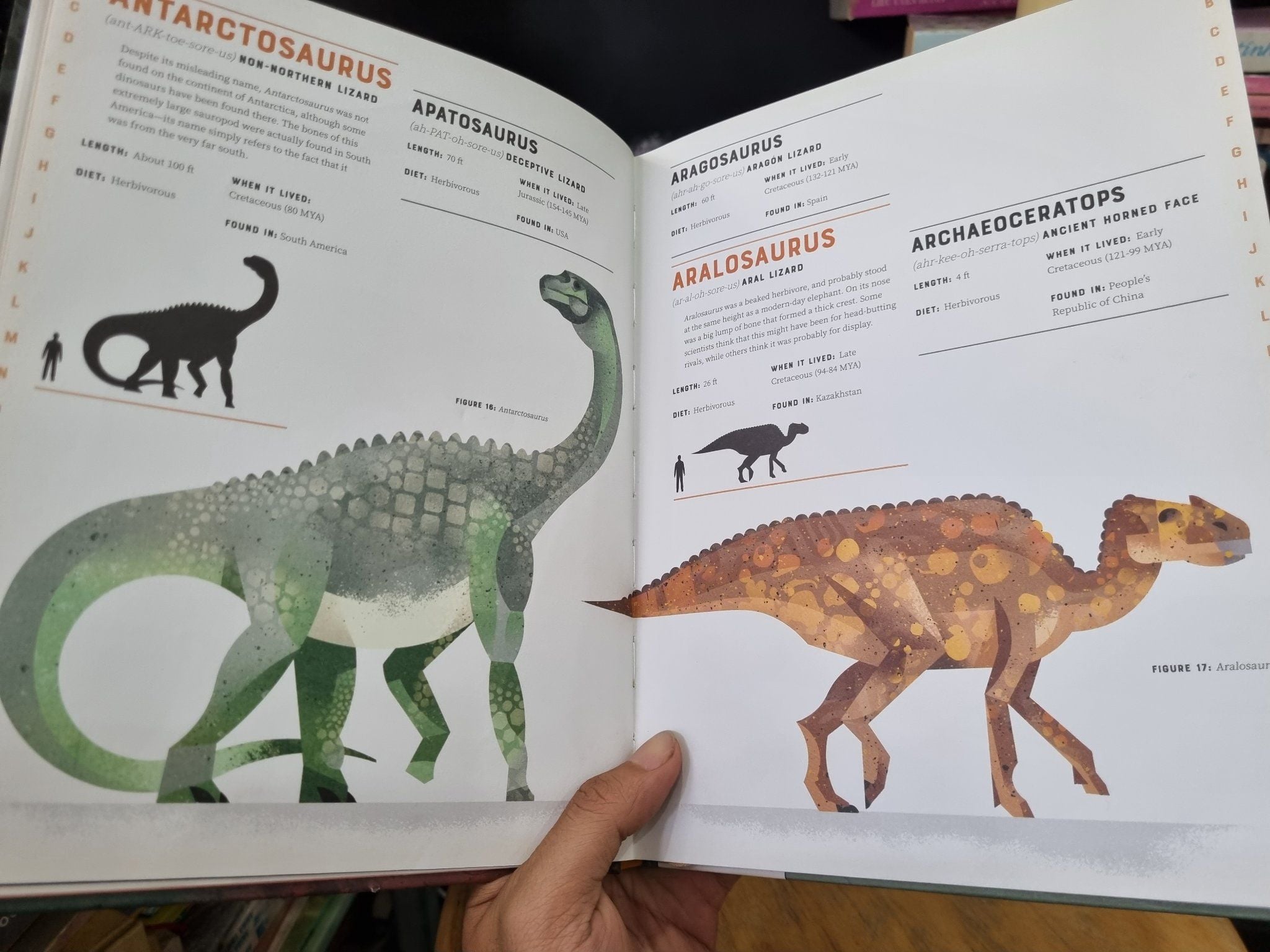 DICTIONARY OF DINOSAURS : AN ILLUSTRATED A TO Z OF EVERY DINOSAUR EVER ...