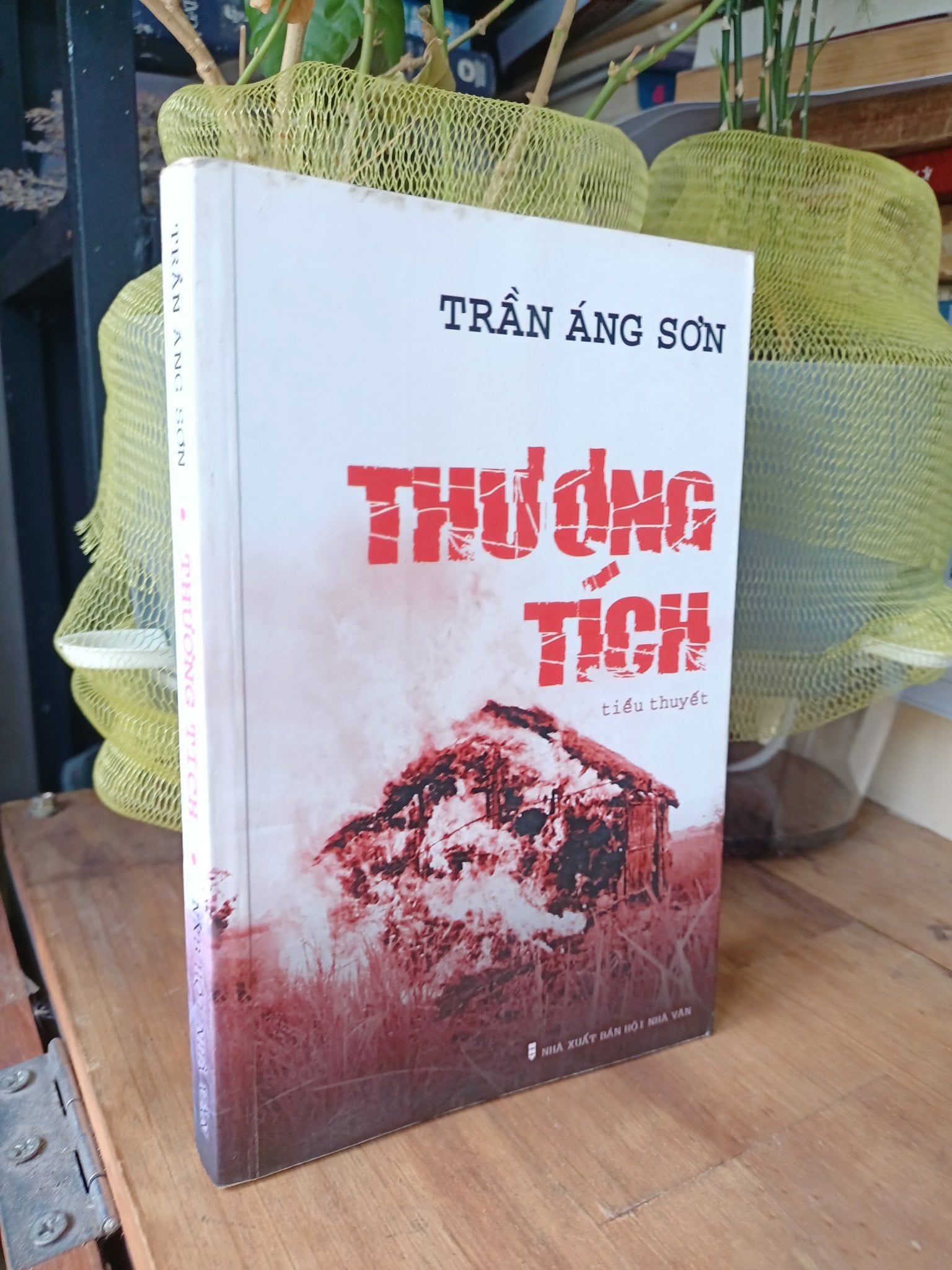 Thương tích - Trần Áng Sơn – Momo Bookstore