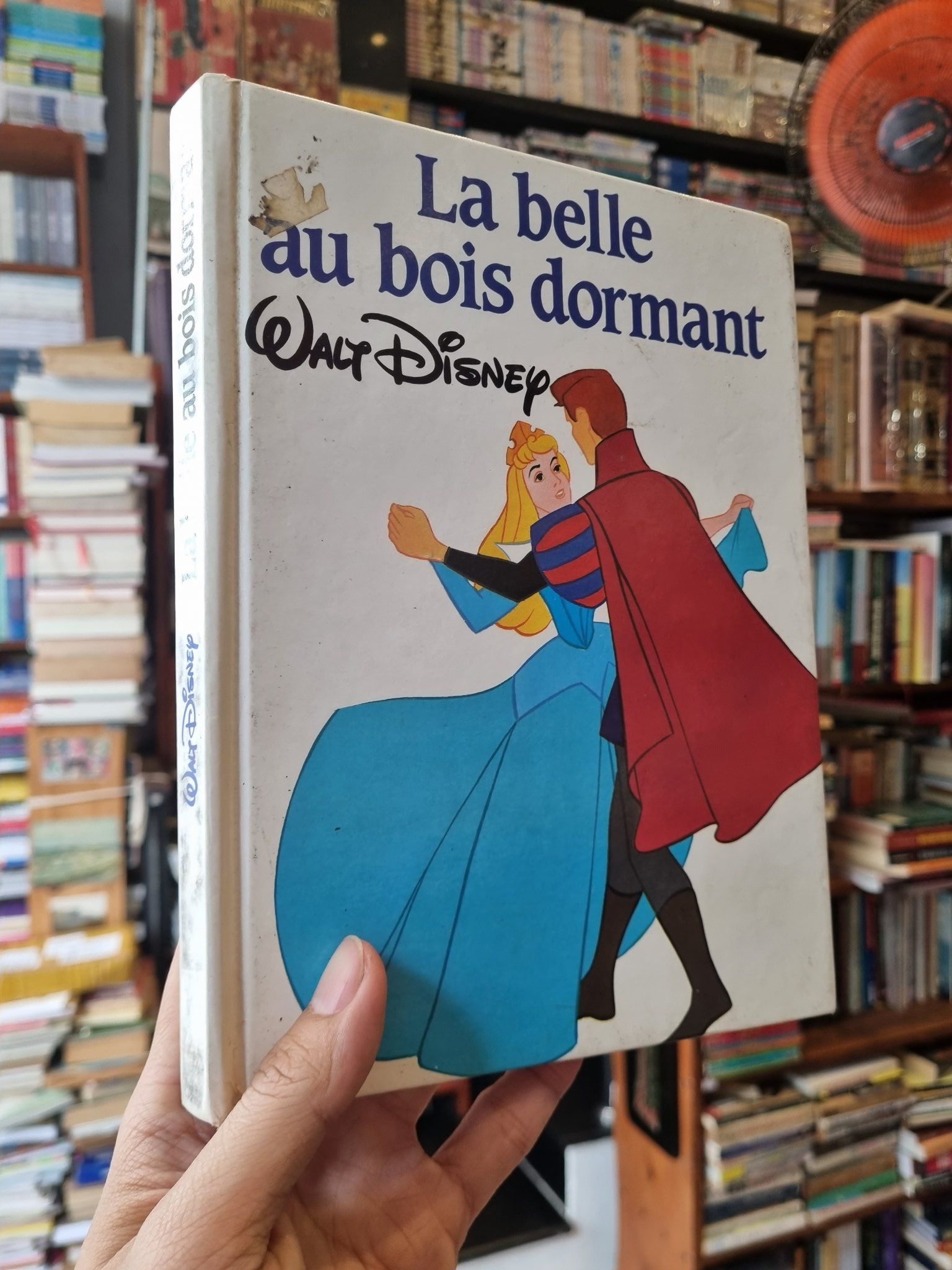 La belle au bois dormant (Walt Disney) – Momo Bookstore