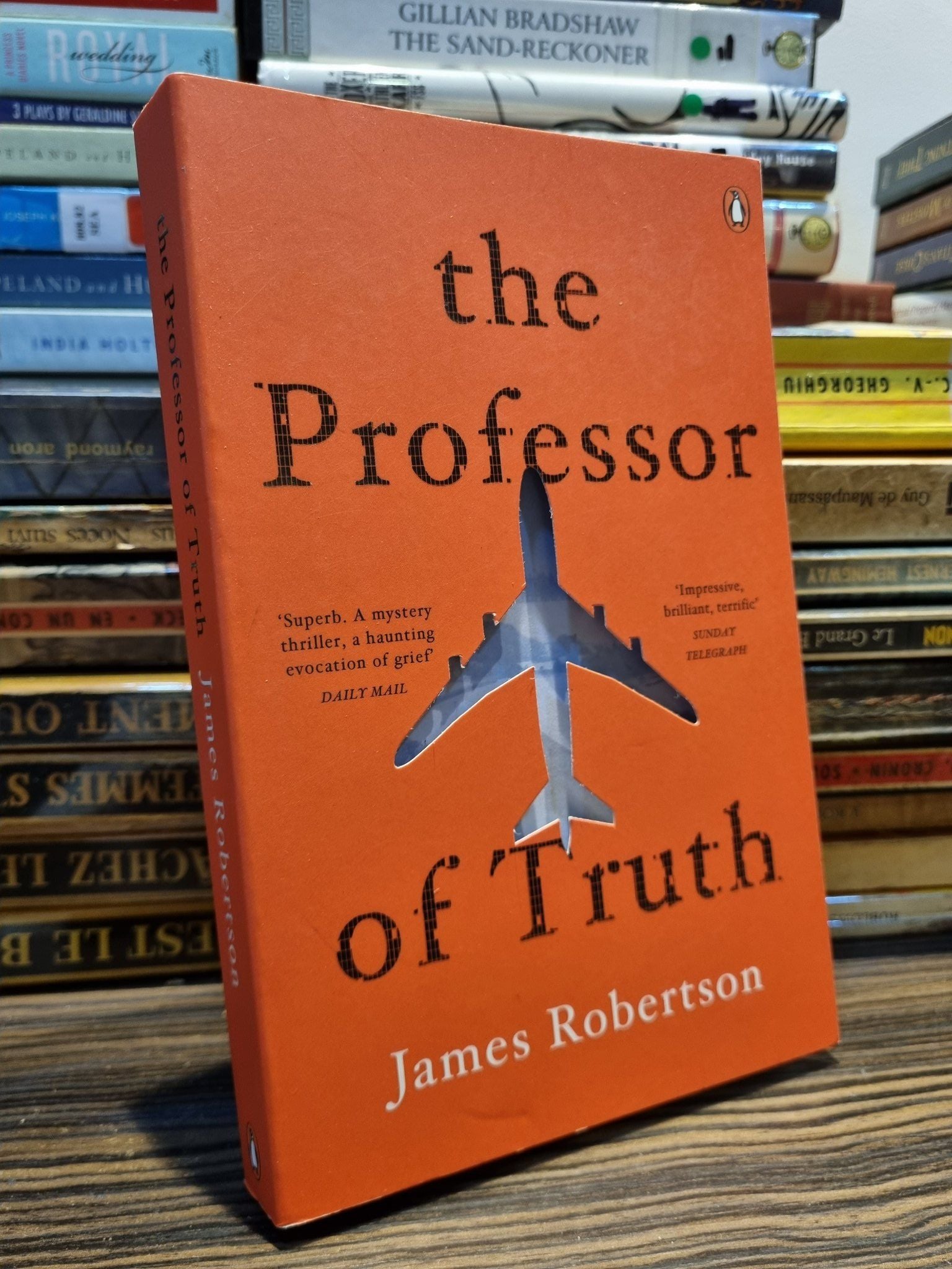 THE PROFESSOR OF TRUTH - James Robertson – Momo Bookstore