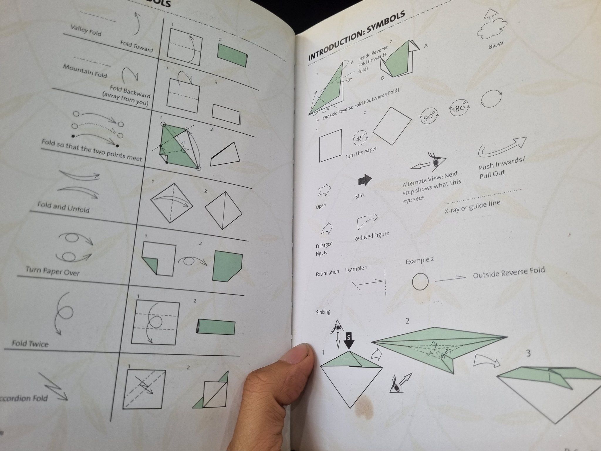 ORIGAMI : A COMPLETE STEP-BY-STEP GUIDE TO MAKING ANIMAL, FLOWERS, PLA ...