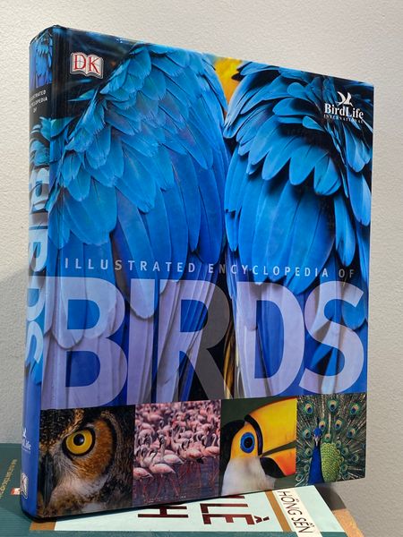Illustrated Encyclopedia of Bird – Momo Bookstore