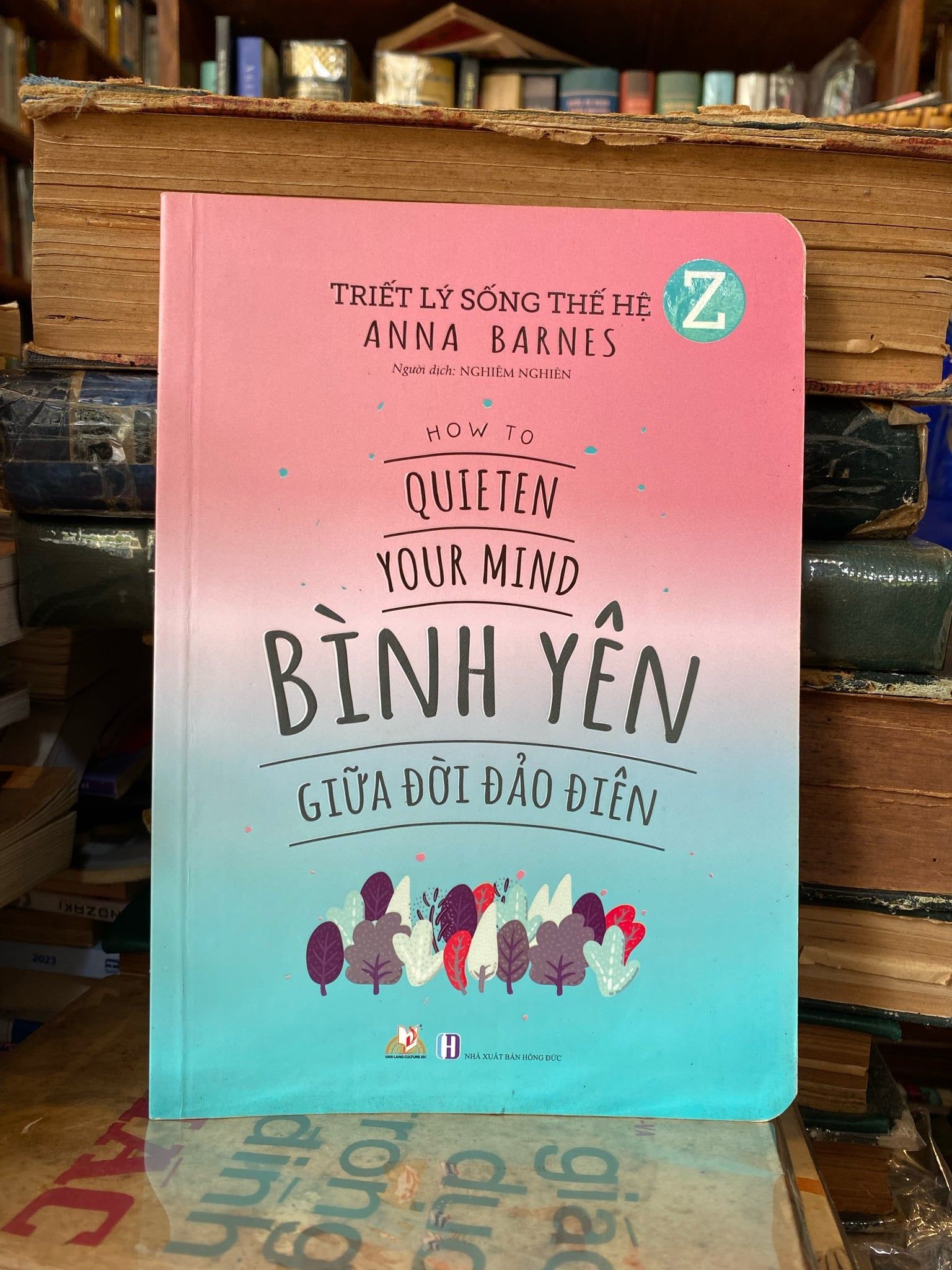 Bình yên giữa đời đảo điên - Anna Barnes – Momo Bookstore