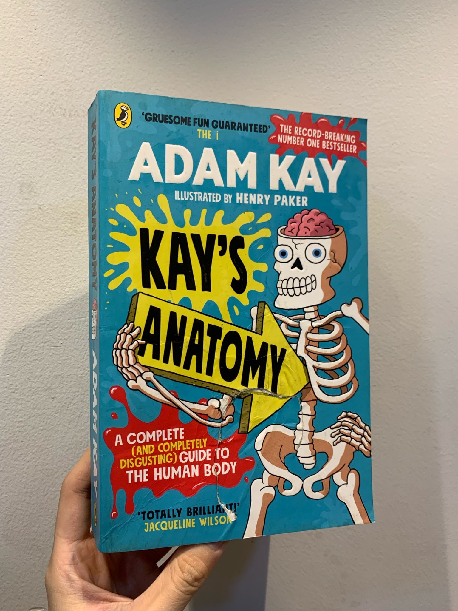 KAY'S ANATOMY: A Complete (and Completely Disrespectful) Guide to the ...