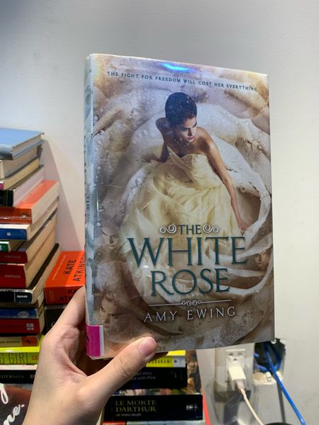 THE WHITE ROSE - Amy Ewing – Momo Bookstore