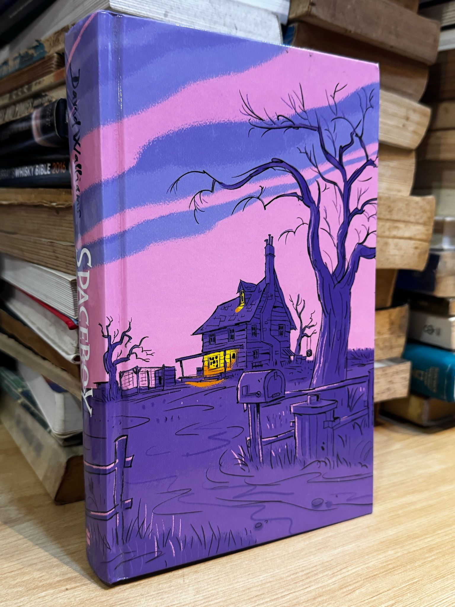 Spaceboy - David Walliams – Momo Bookstore