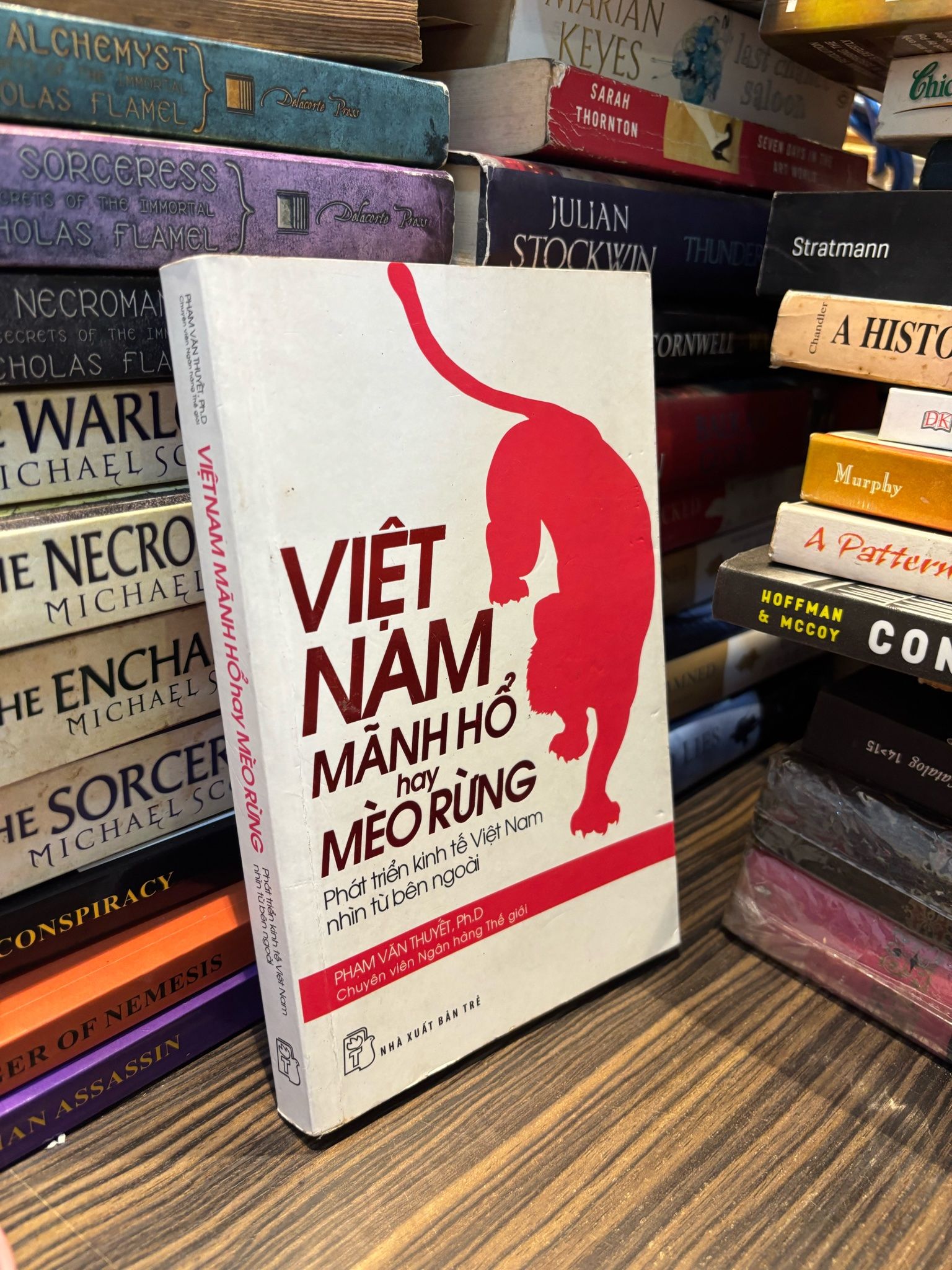 Việt Nam mãnh hổ hay mèo rừng phát triển kinh tế Việt Nam nhìn từ bên ...