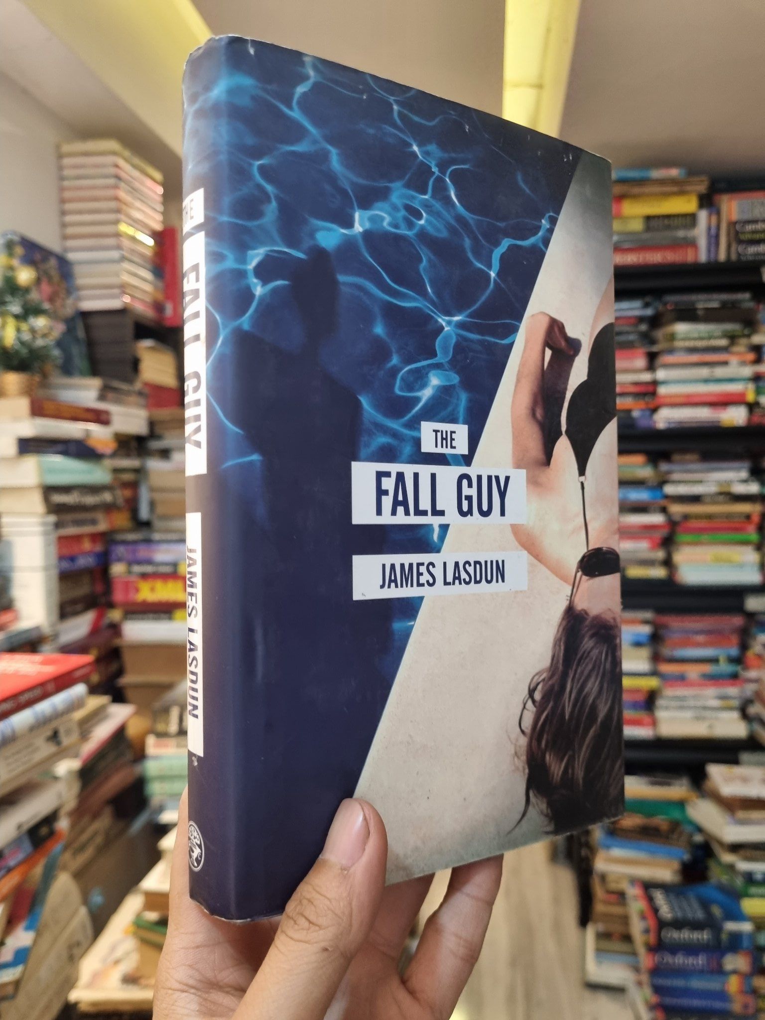 The Fall Guy - James Lasdun – Momo Bookstore