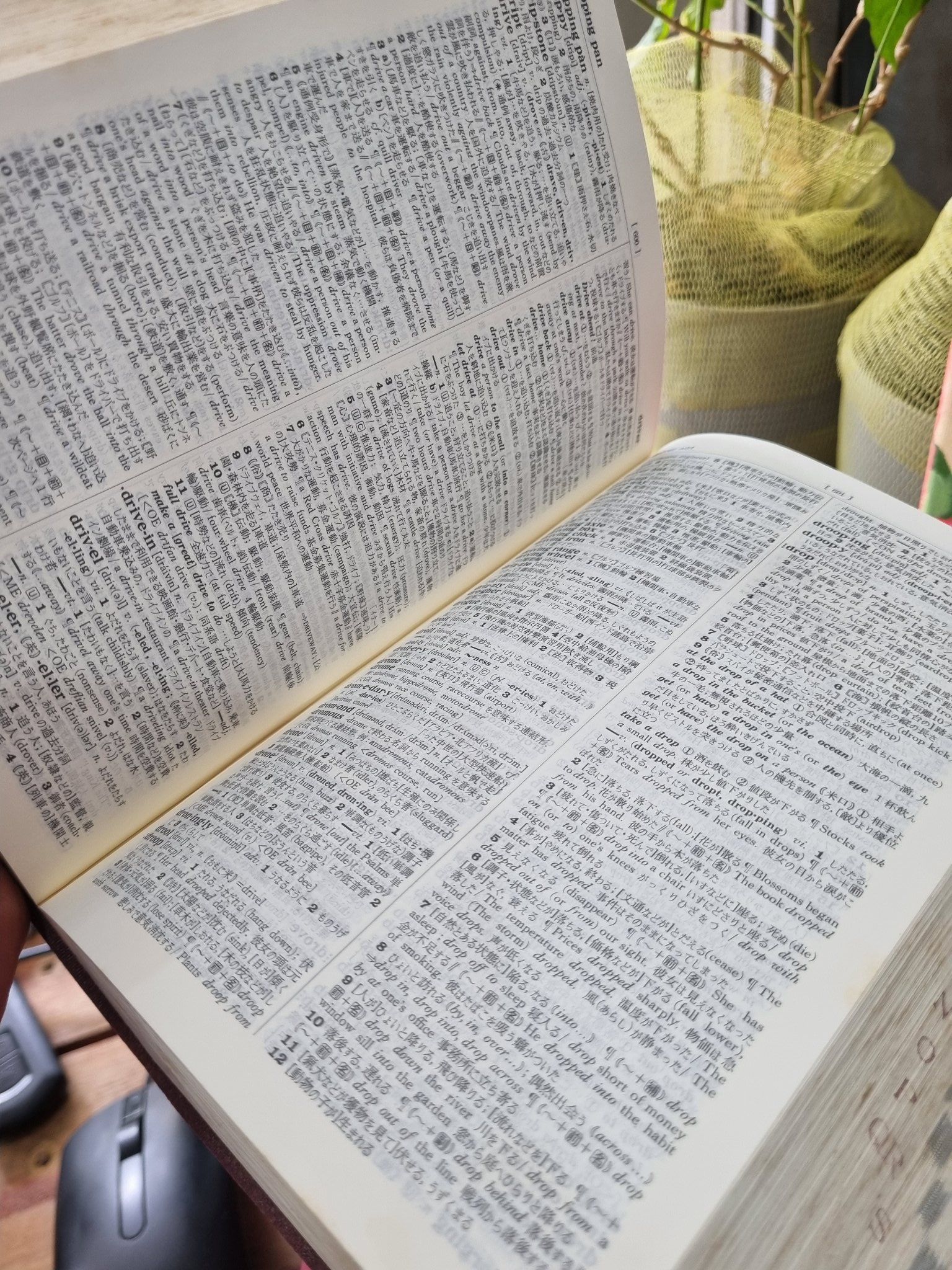 OBUNSHA'S Comprehensive English - Japanese Dictionary – Momo Bookstore