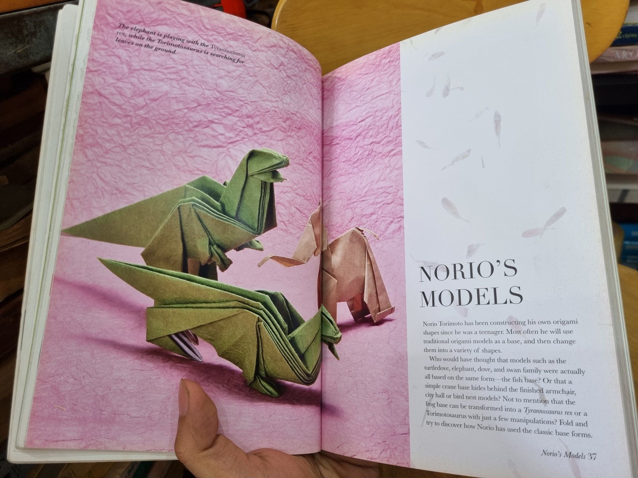 ORIGAMI : A COMPLETE STEP-BY-STEP GUIDE TO MAKING ANIMAL, FLOWERS, PLA ...