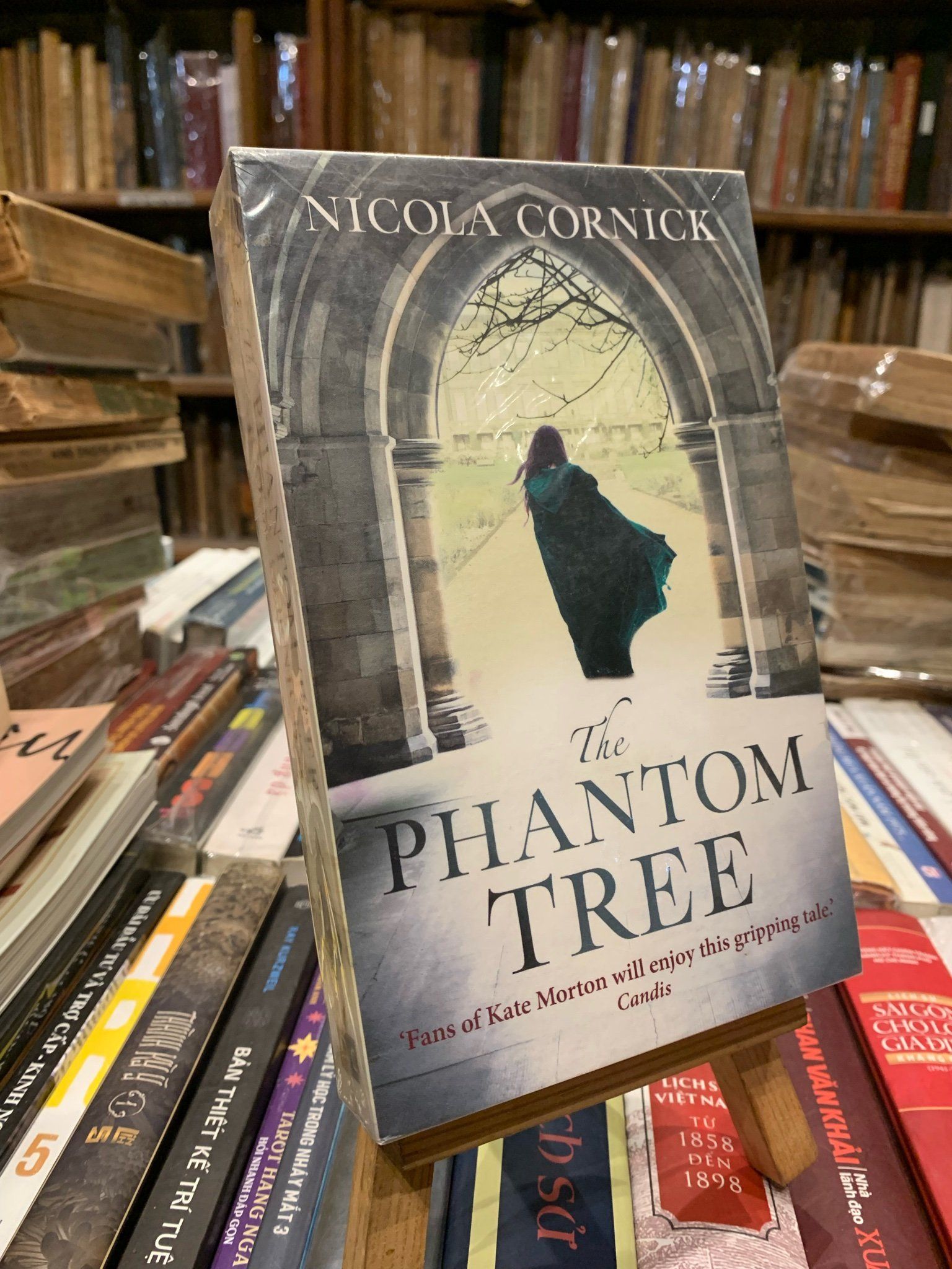 THE PHANTIM TREE - Nicola Cornick – Momo Bookstore
