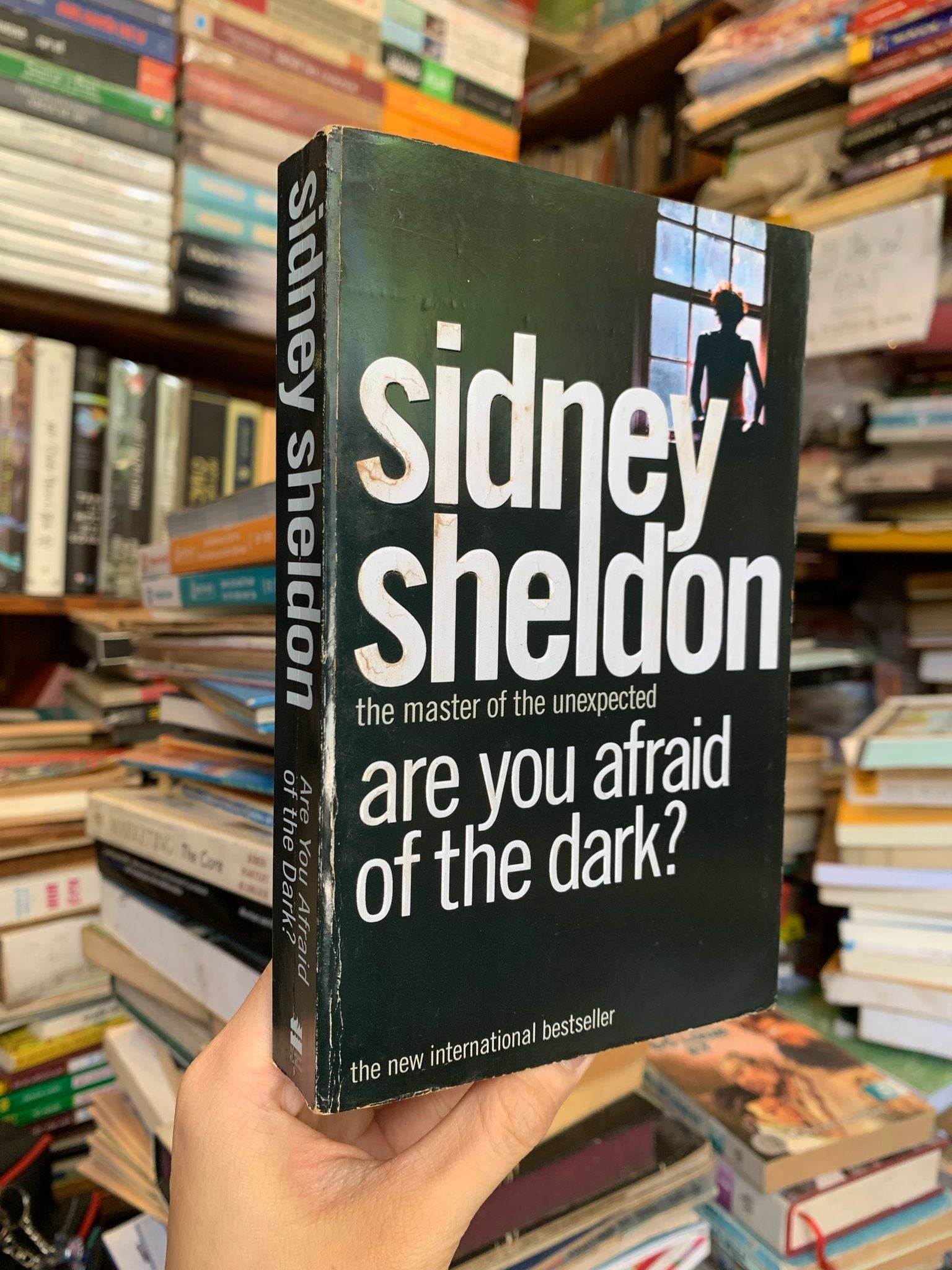 ARE YOU AFRAID OF THE DARK - Sidney Sheldon – Momo Bookstore