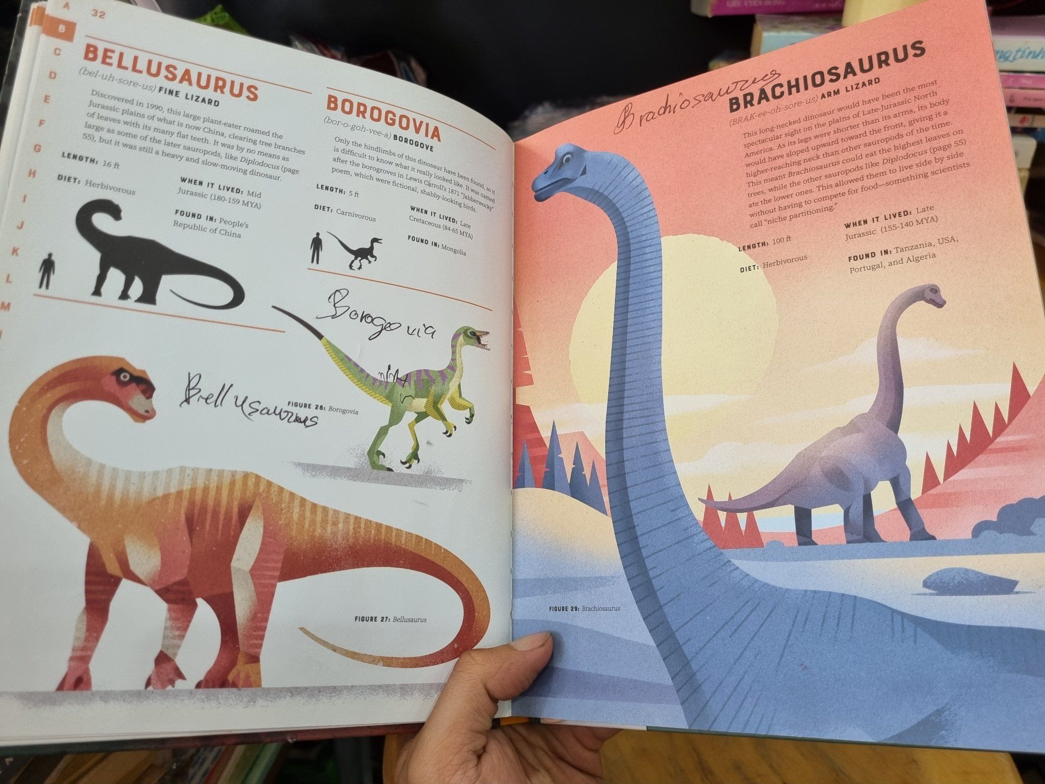 DICTIONARY OF DINOSAURS : AN ILLUSTRATED A TO Z OF EVERY DINOSAUR EVER ...