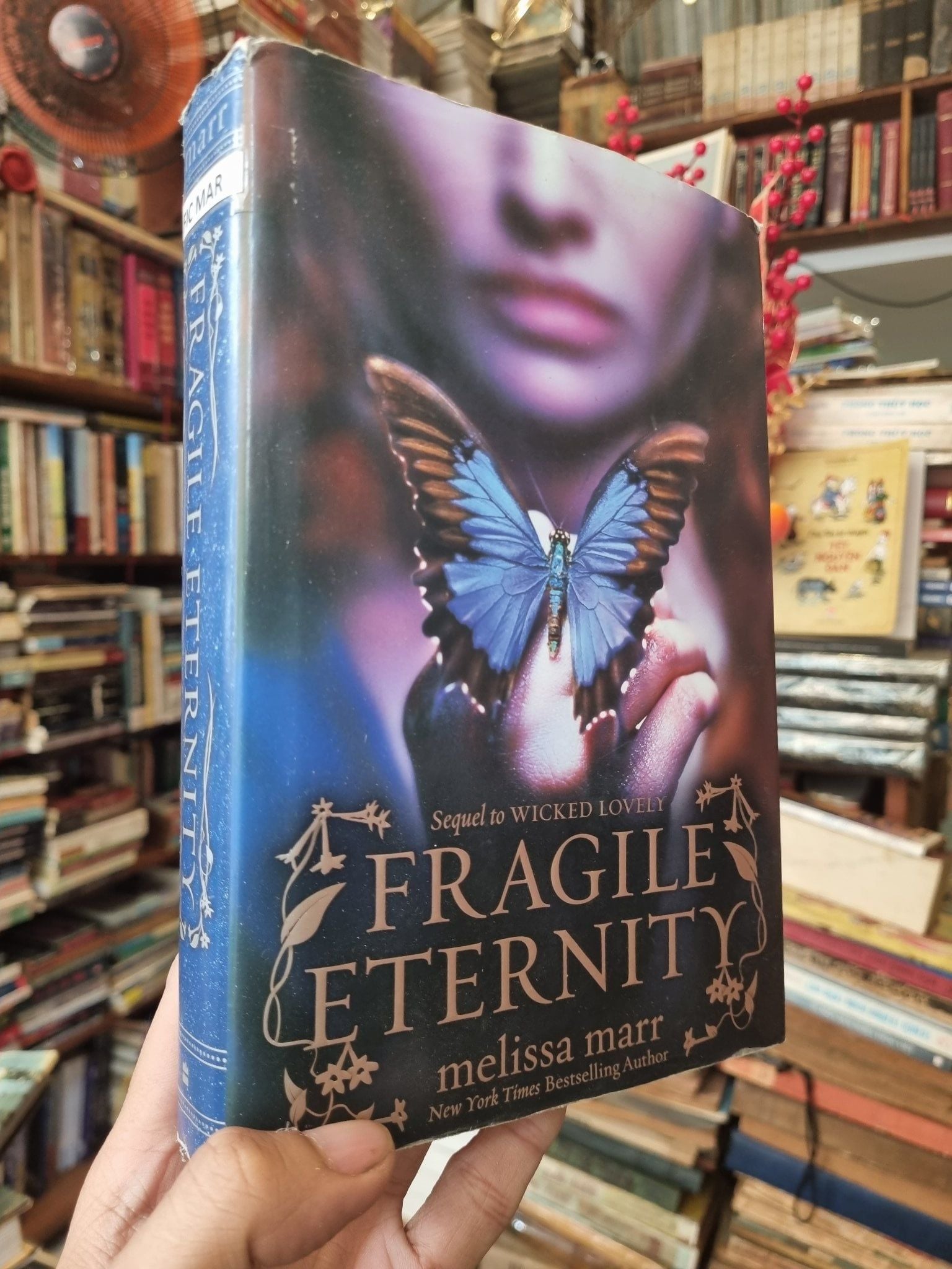 Fragile Eternity - Melissa Marr – Momo Bookstore