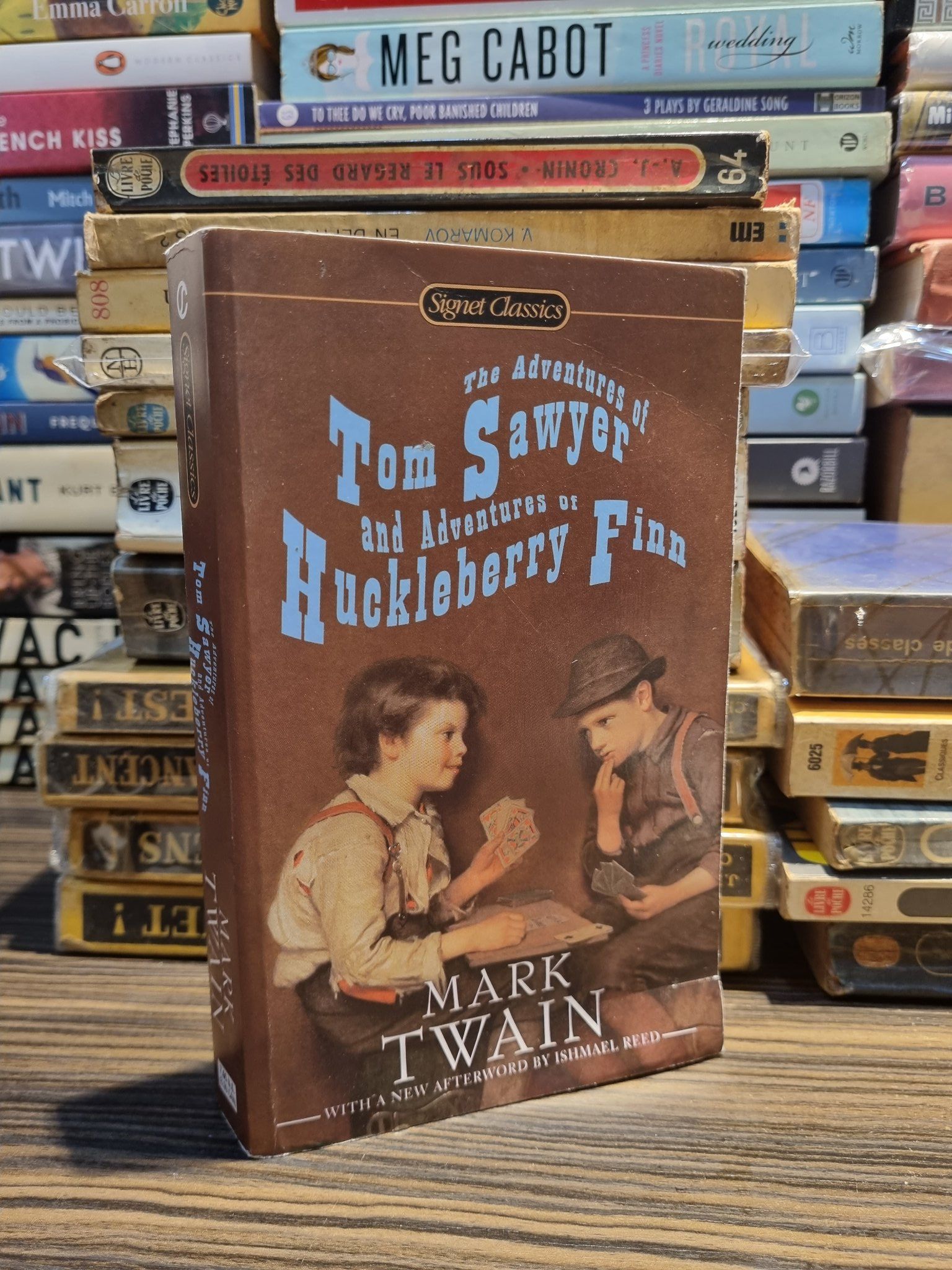 THE ADVENTURES OF TOM SAWYER and THE ADVENTURES OF HUCKLEBERRY FINN ...