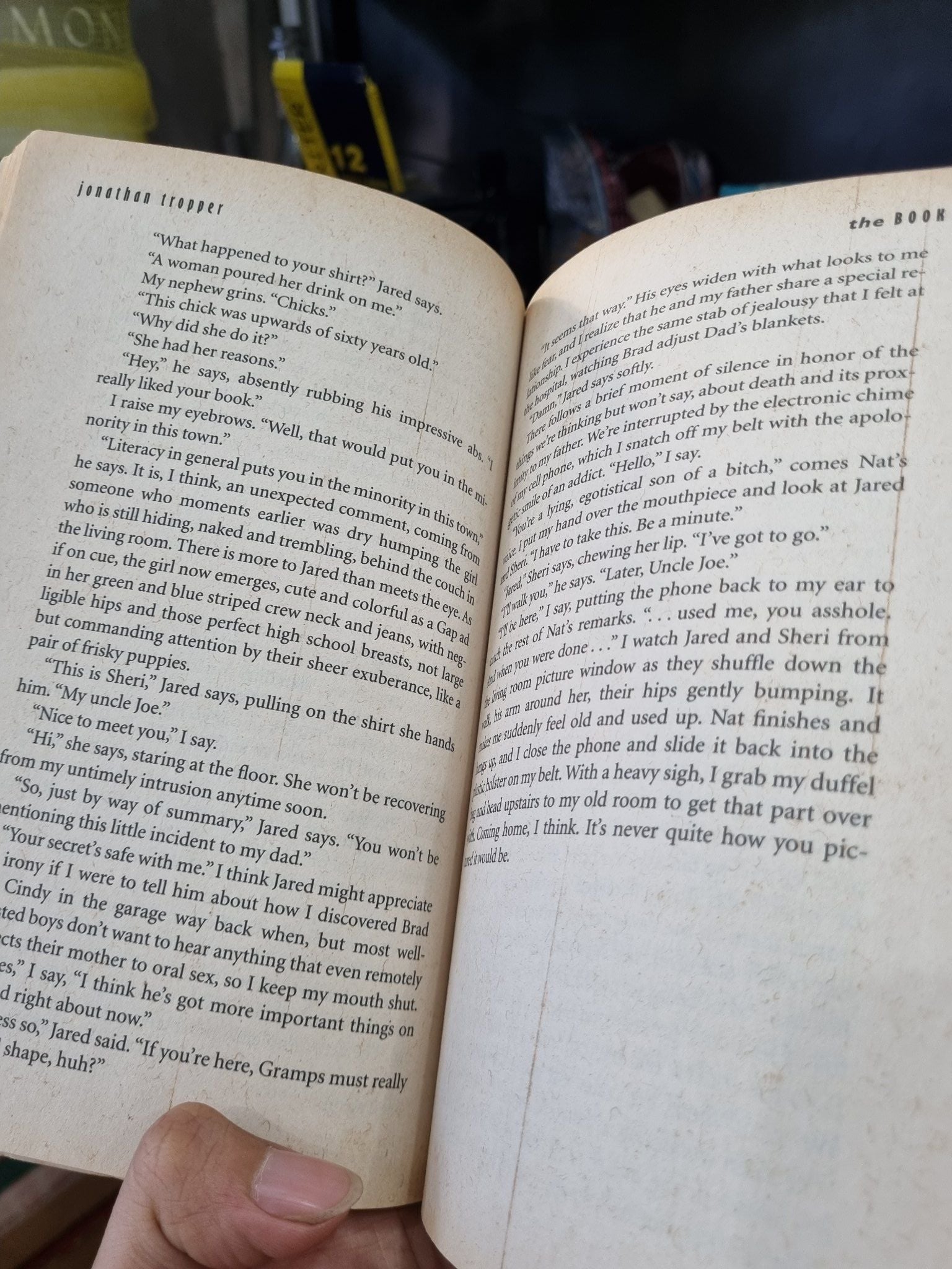 THE BOOK OF JOE (A Novel) - Jonathan Tropper – Momo Bookstore