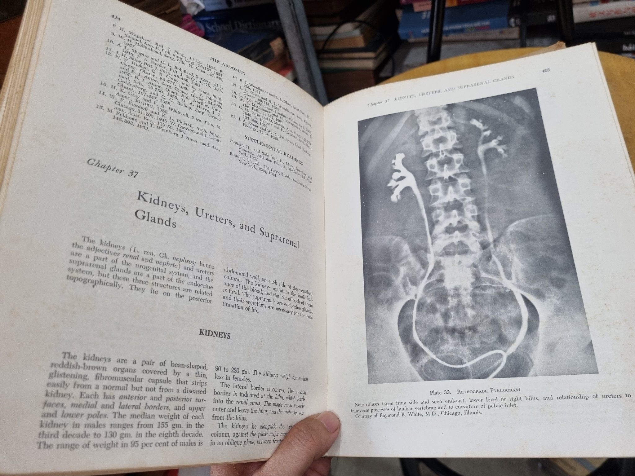 ANATOMY : A REGIONAL STUDY OF HUMAN STRUCTURE (3rd Edition) - E. Gardn ...