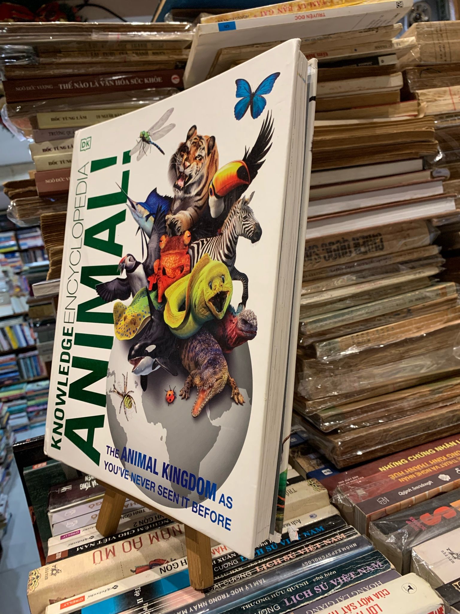 Knowledge Encyclopedia: Animal! - DK – Momo Bookstore