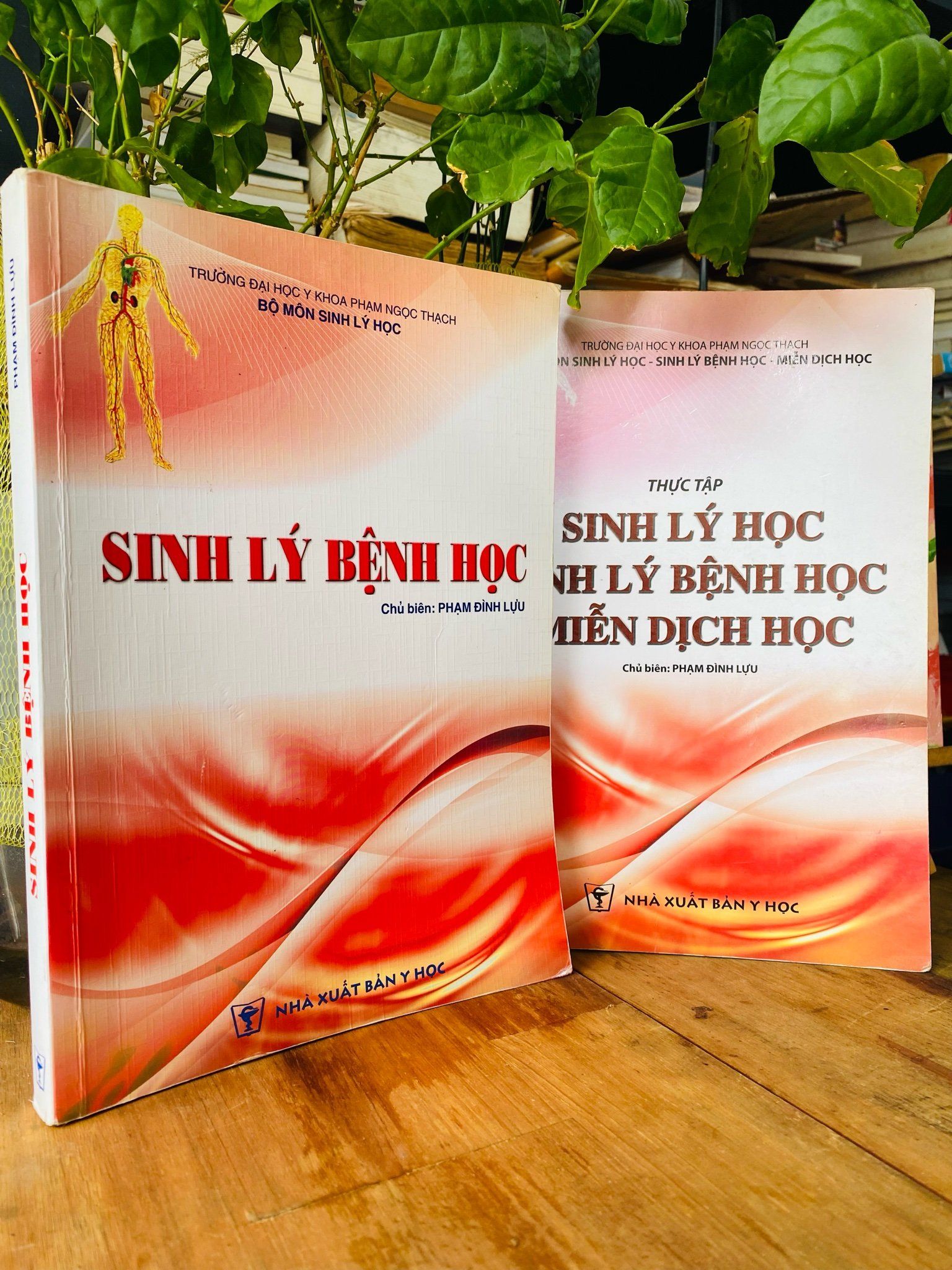 Sinh lý bệnh học + Thực tập sinh lý học; sinh lý bệnh học; miễn dịch h ...