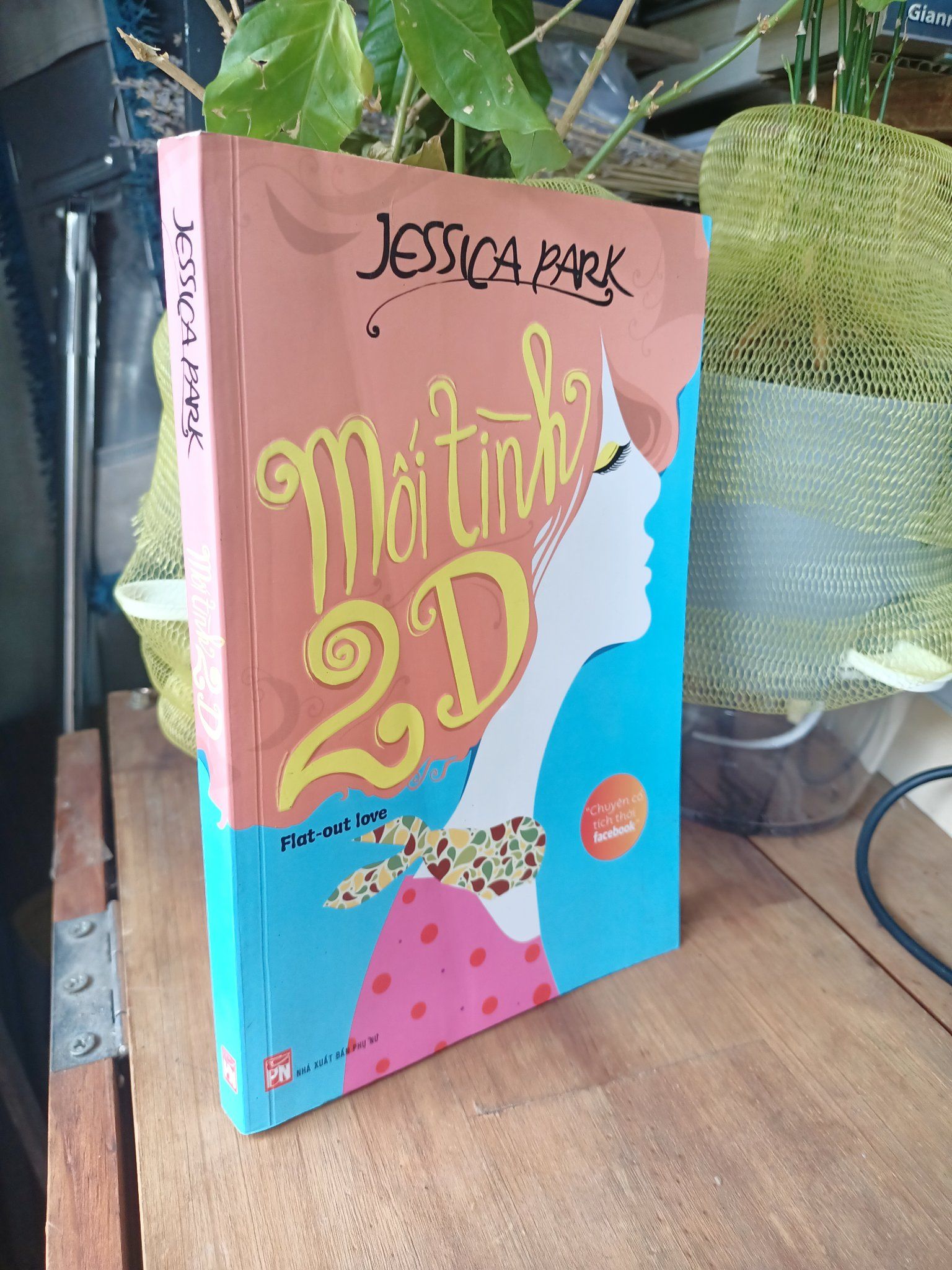 Mối tình 2D - Jessica Park – Momo Bookstore
