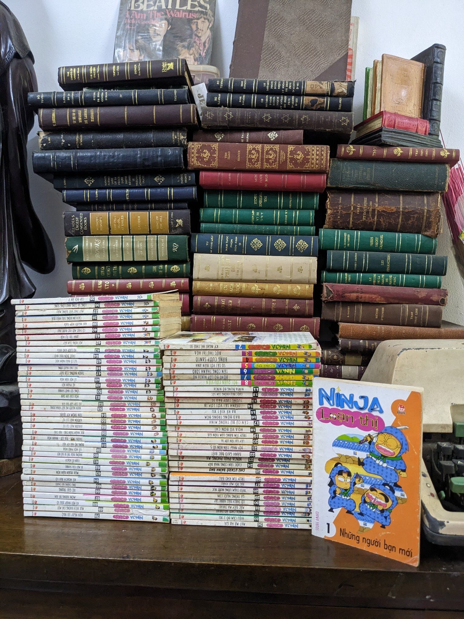 TRUYỆN TRANH Ninja Loạn Thị - SouBee Amako – Momo Bookstore