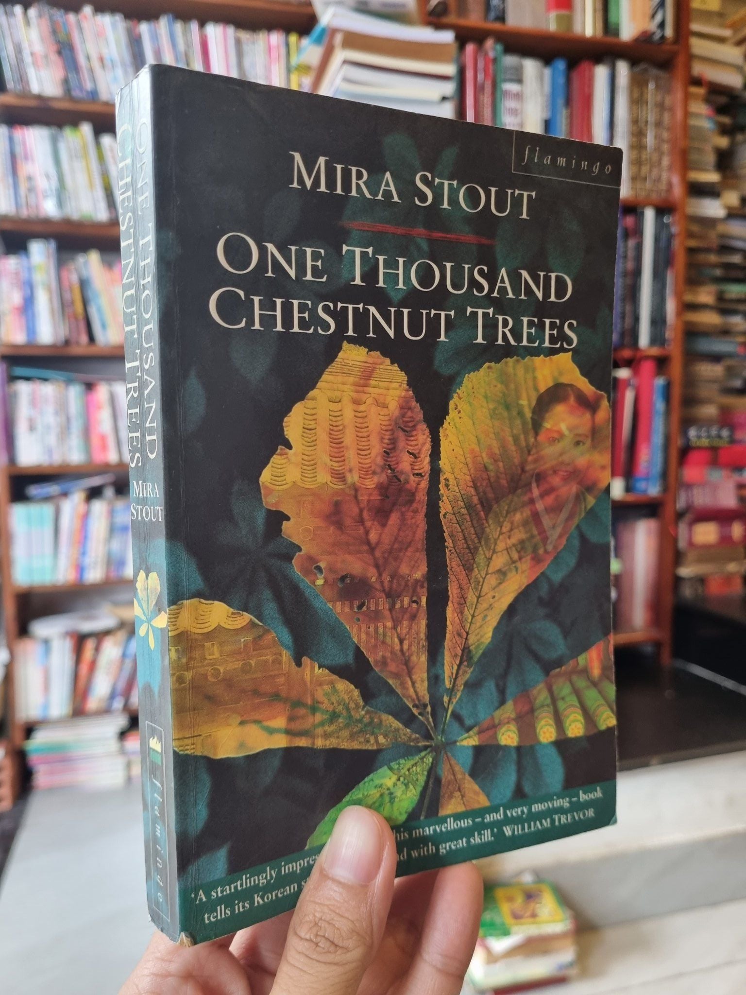 ONE THOUSAND CHESTNUT TREE - Mira Stout – Momo Bookstore
