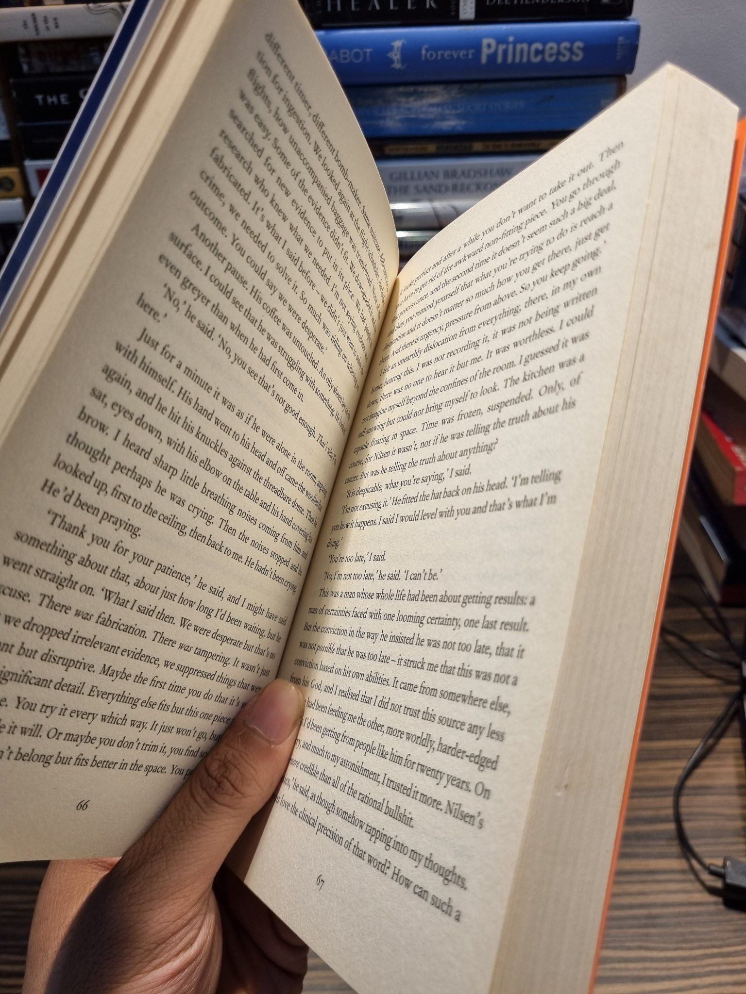 THE PROFESSOR OF TRUTH - James Robertson – Momo Bookstore