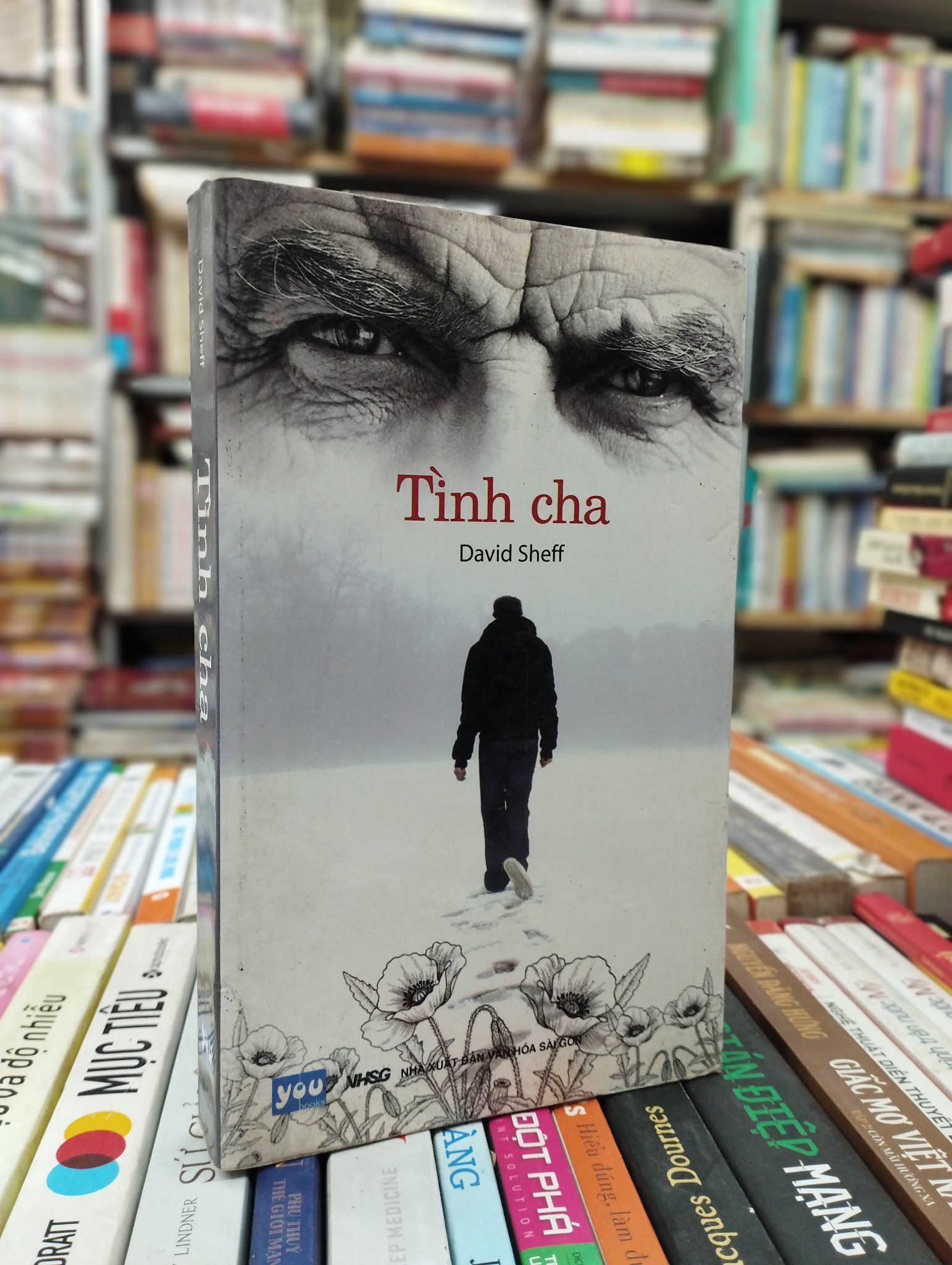 Tình cha - David Sheff – Momo Bookstore