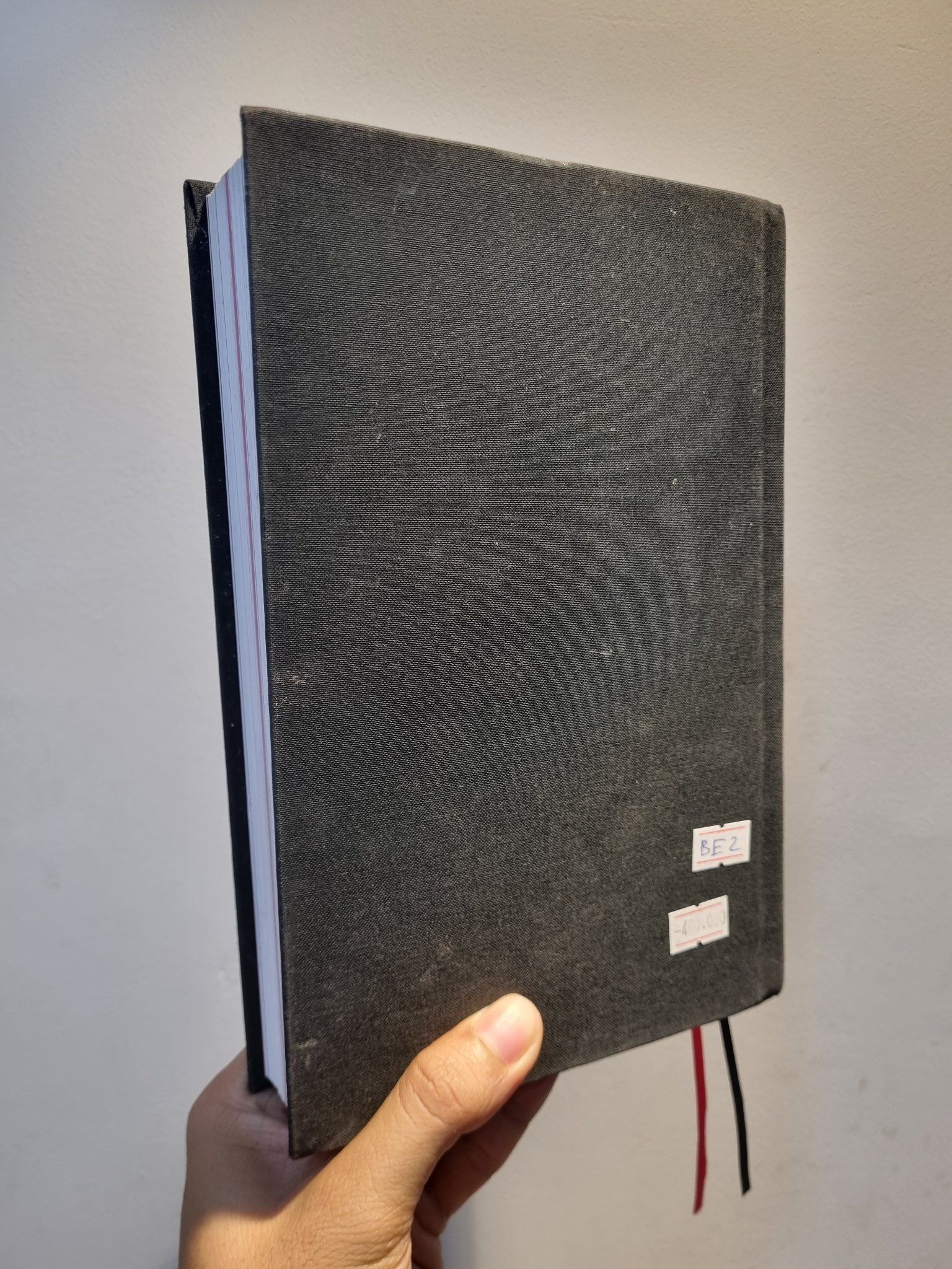 PRINCIPLES : Life & Work - Ray Dalio – Momo Bookstore