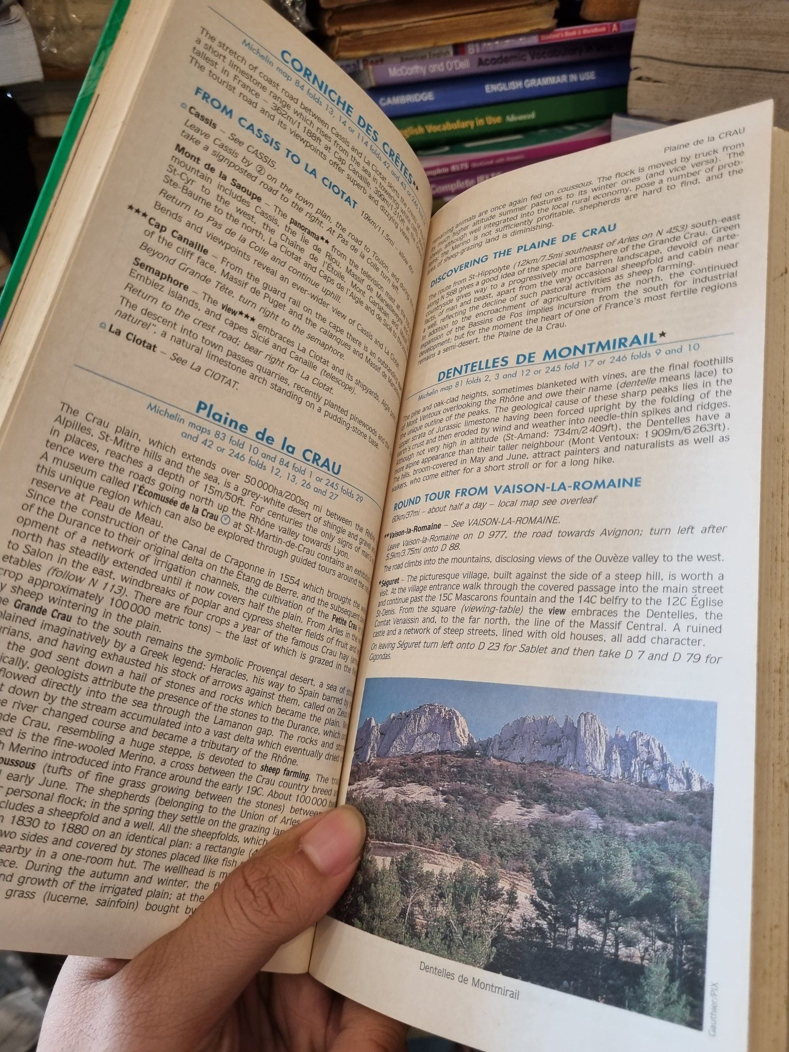 PROVENCE : The Green Guide – Momo Bookstore