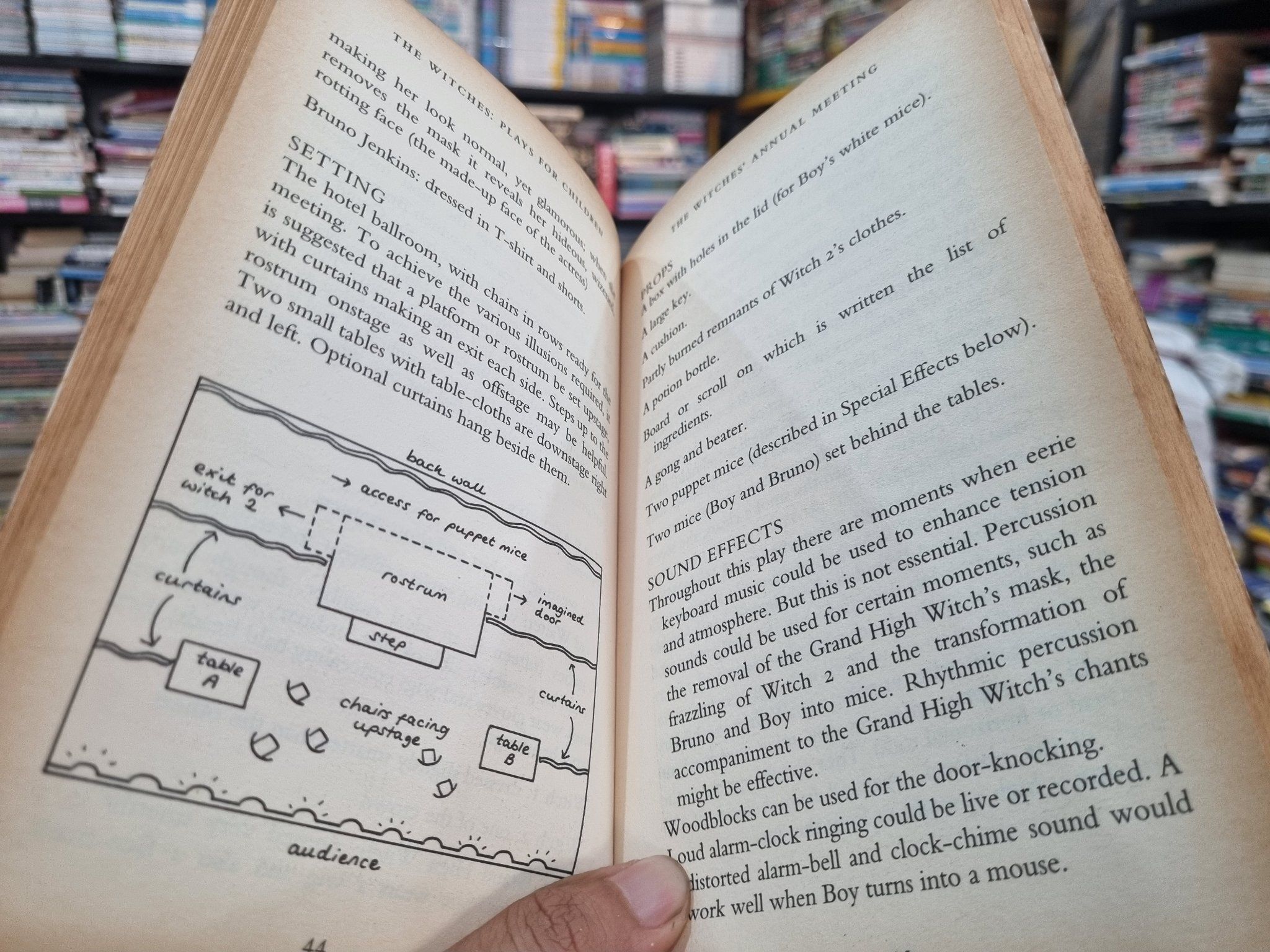 THE WITCHES : PLAYS FOR CHILDREN - Roald Dahl – Momo Bookstore