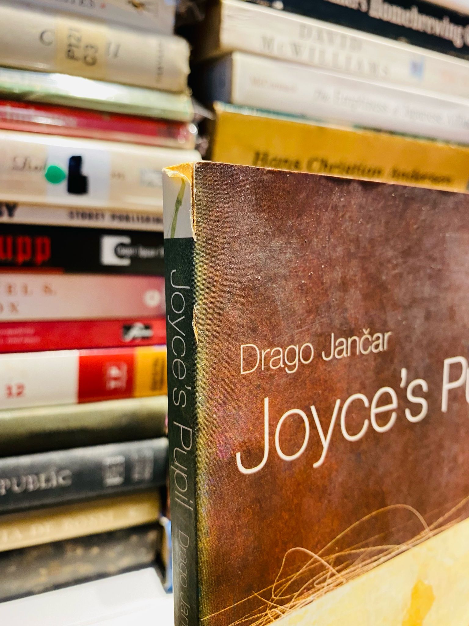 JOYCE'S PUPIL - DRAGO JANCAR – Momo Bookstore