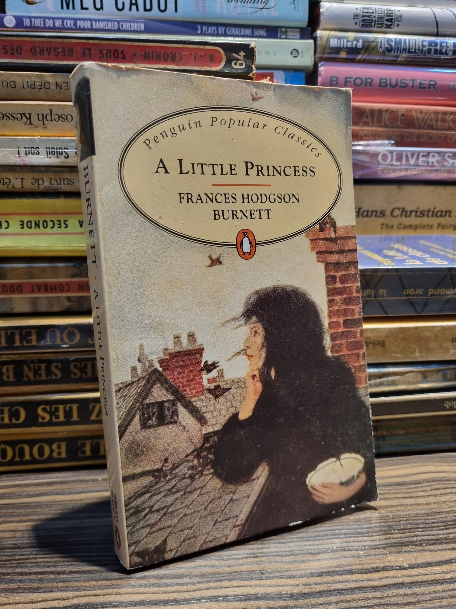 A LITTLE PRINCESS - Frances Hodgson Burnett (Penguin Popular Classics ...