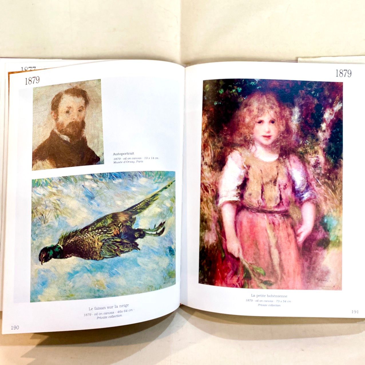 RENOIR - Masterworks – Momo Bookstore