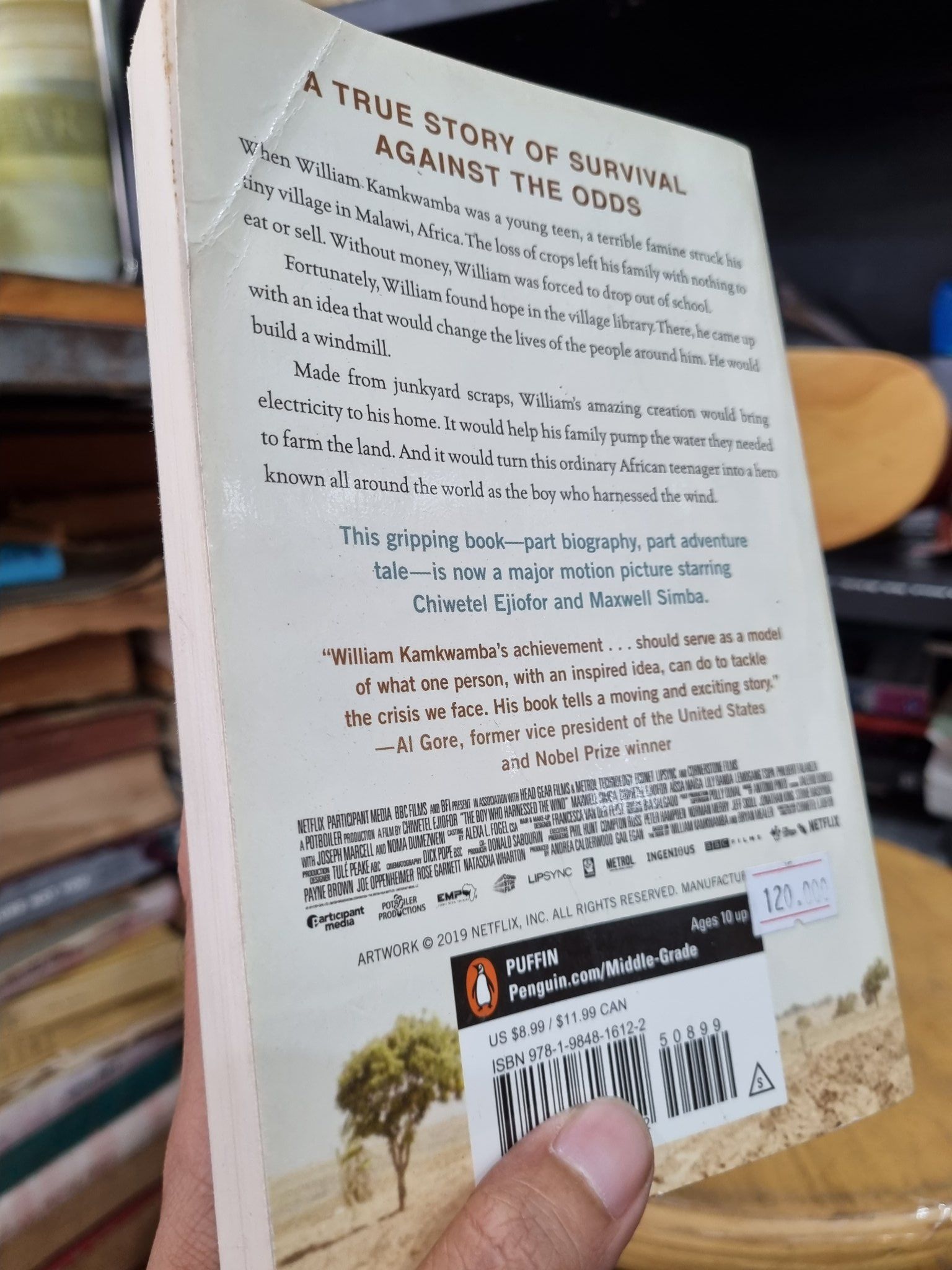 THE BOY WHO HARNESSED THE WIND - WILLIAM KAMKWAMBA, BRYAN MEALER – Momo Bookstore