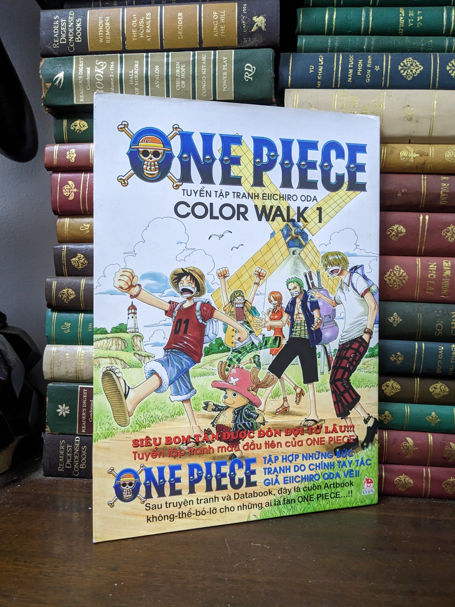 One Piece Color Walk - Tuyển Tập Tranh Eiichiro Oda – Momo Bookstore