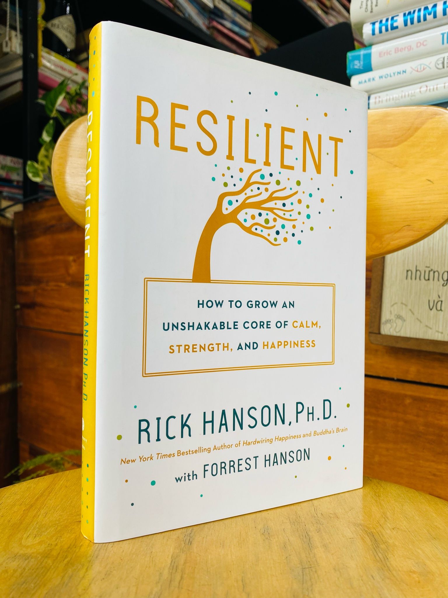 RESILIENT - RICK HANSON – Momo Bookstore