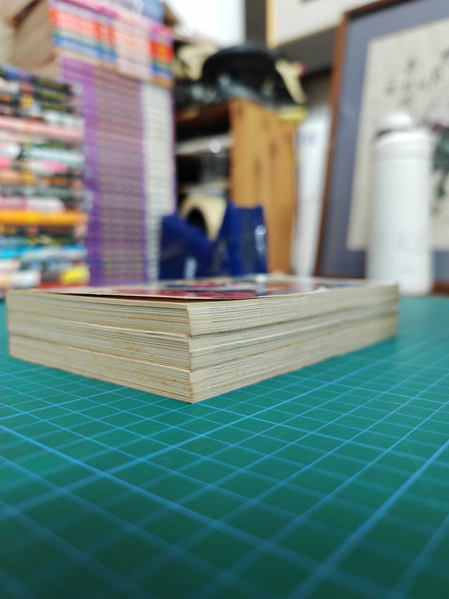 TRUYỆN TRANH Lạc Hoa - Lai Ann – Momo Bookstore