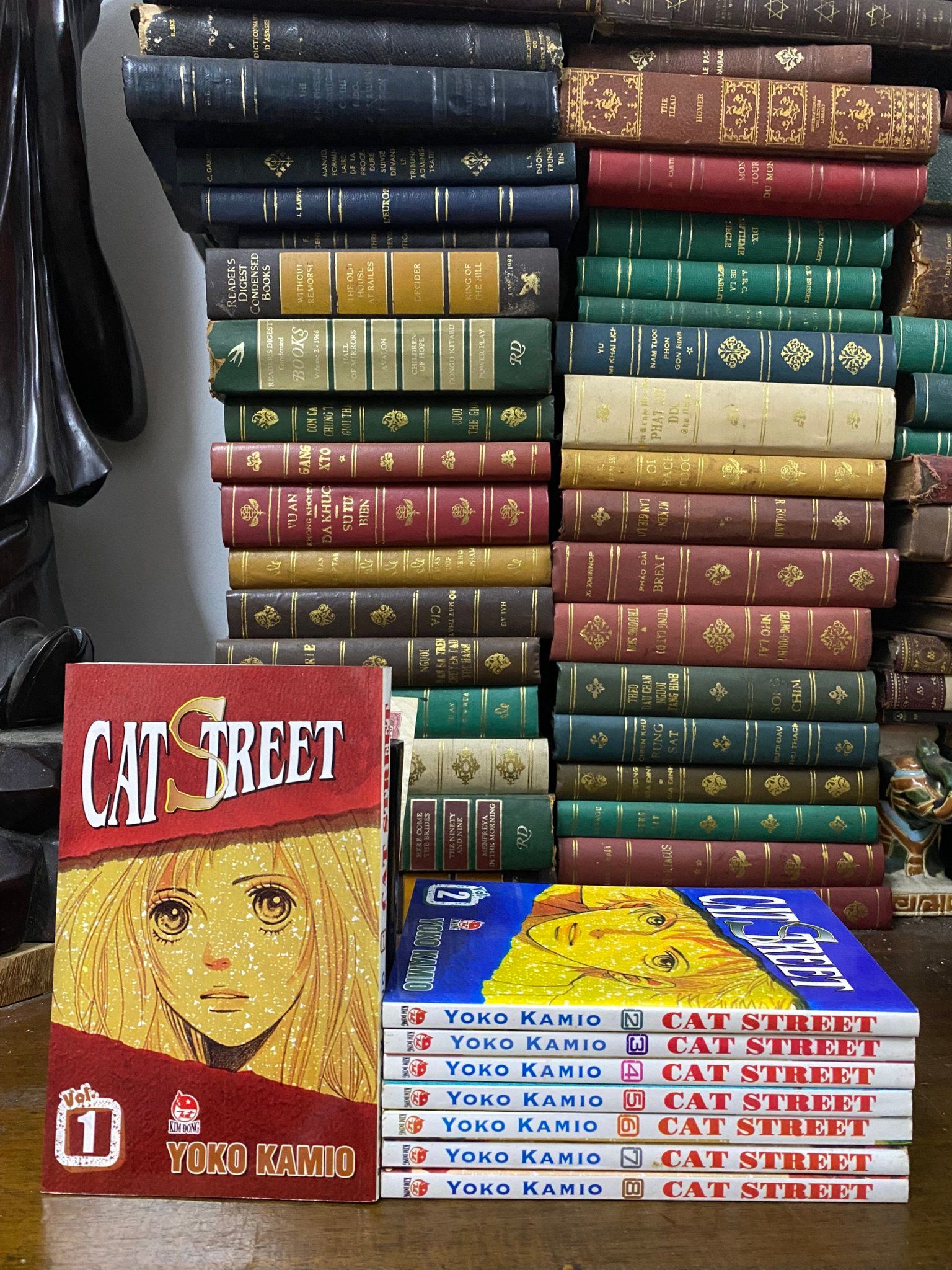 Truyện tranh Cat Street - Yoko Kamio – Momo Bookstore