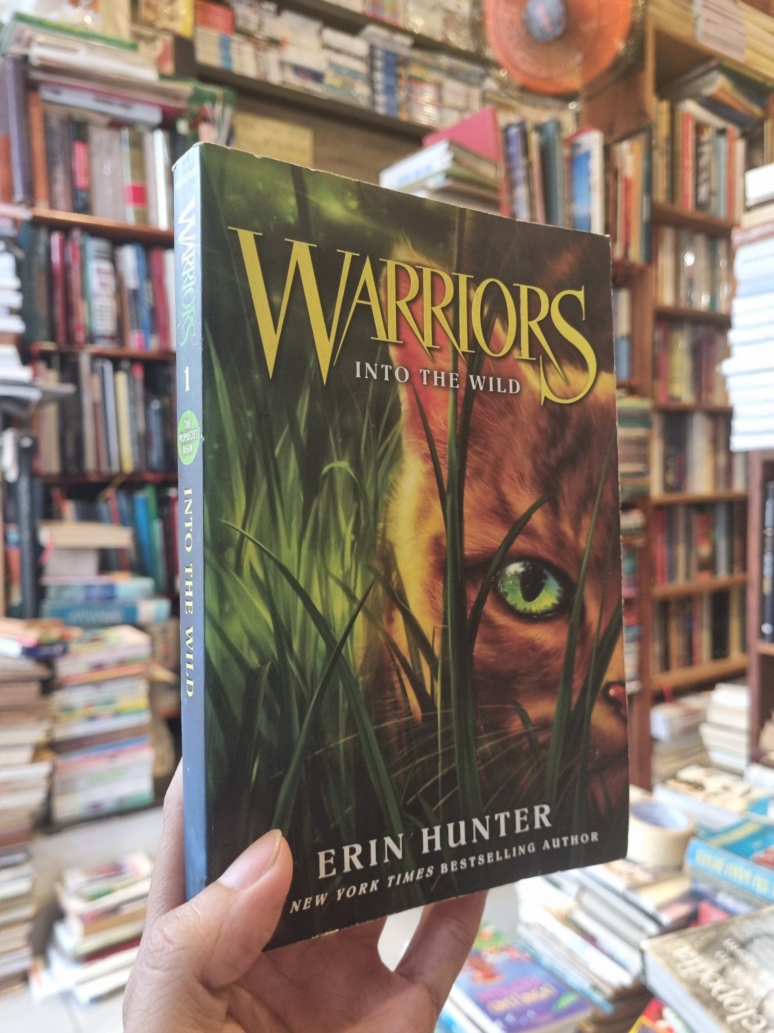WARRIORS - Erin Hunter – Momo Bookstore