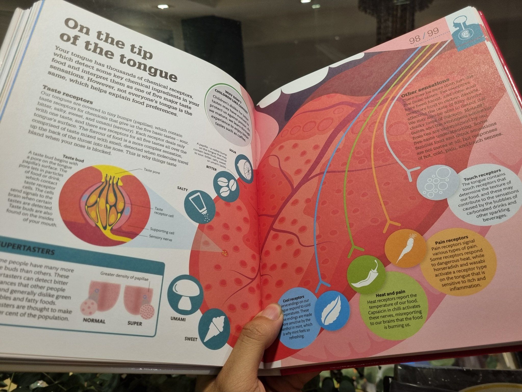 HOW THE BODY WORKS : THE FACTS VISUALLY EXPLAINED – Momo Bookstore