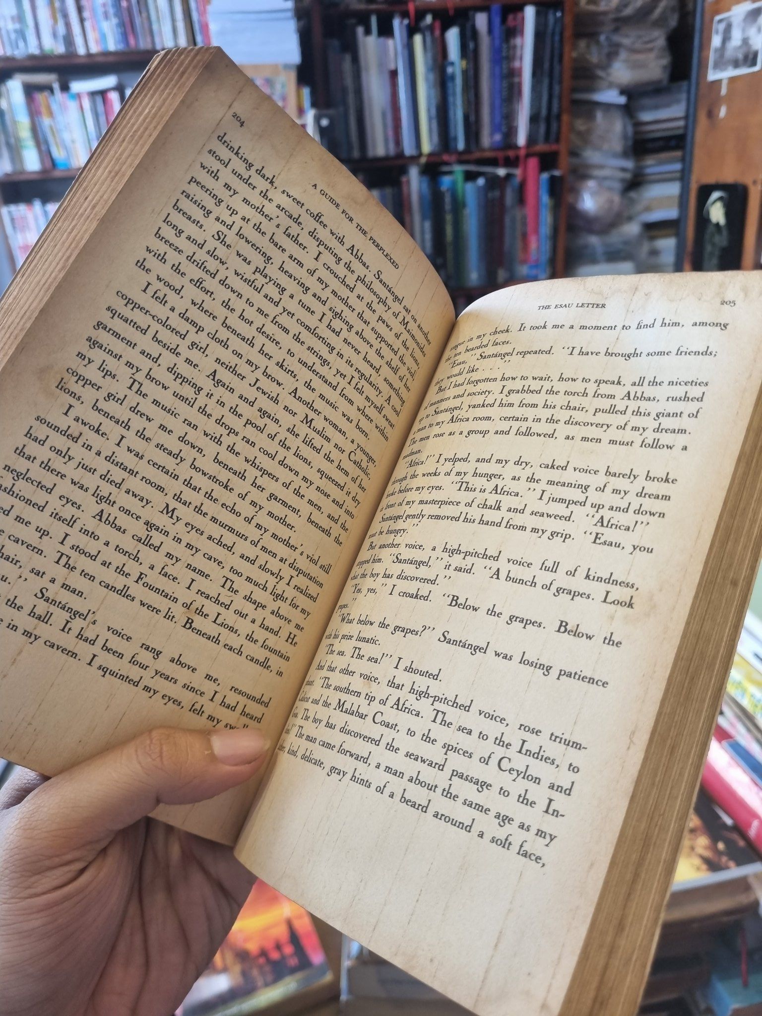 A GUIDE FOR THE PERPLEXED - Jonathan Levi – Momo Bookstore