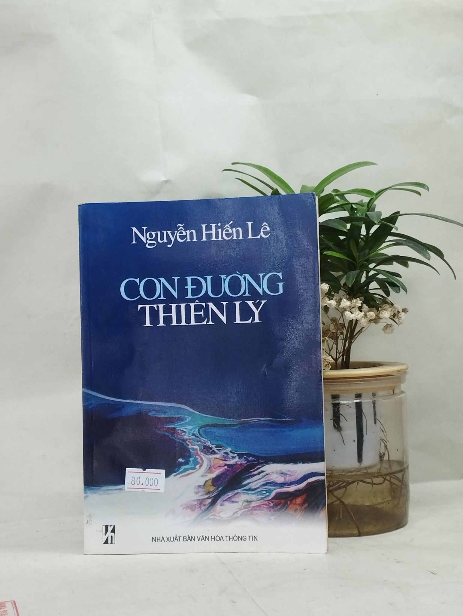 Con đường thiên lý - Nguyễn Hiến Lê – Momo Bookstore