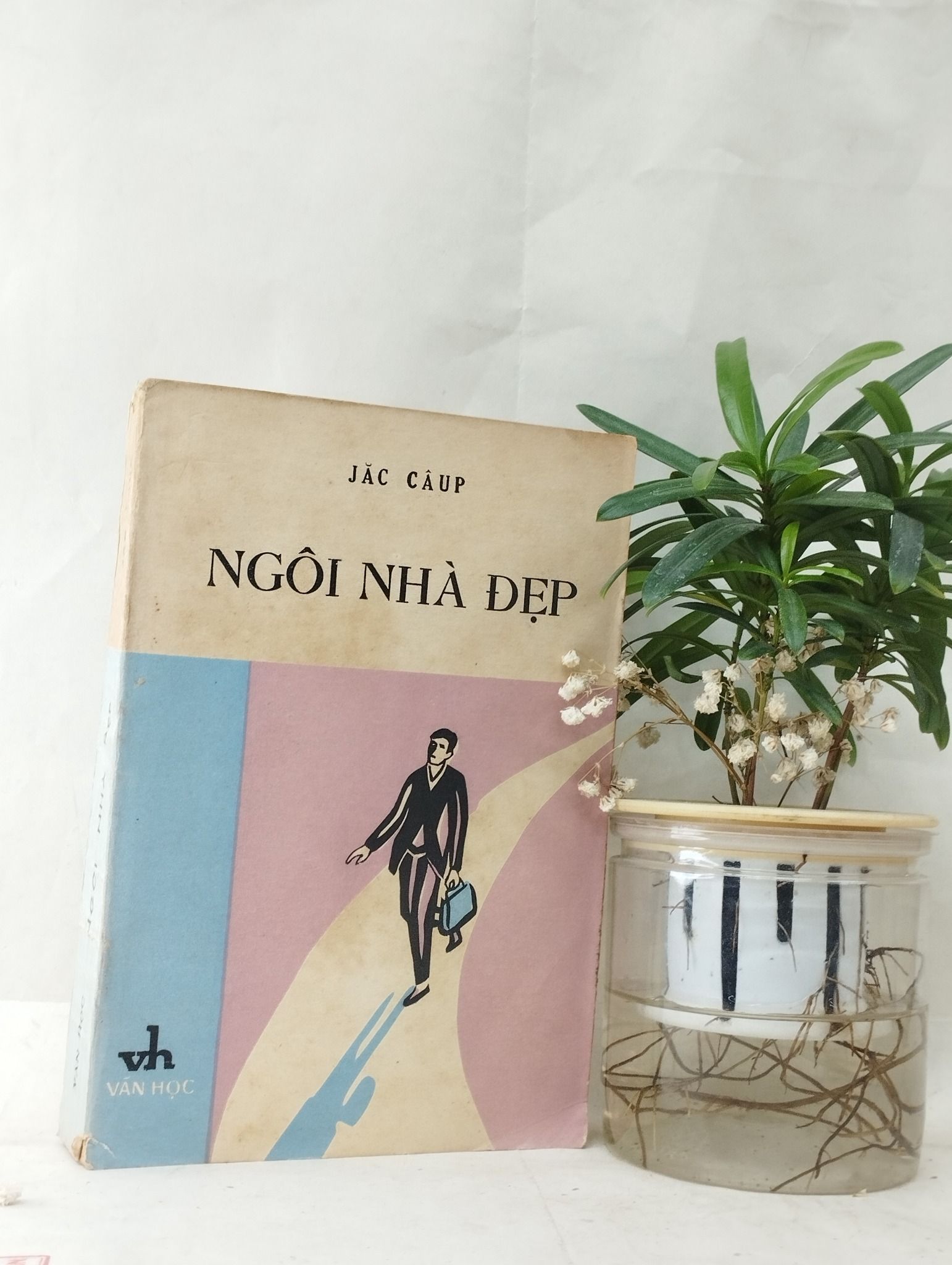 Ngôi nhà đẹp - Jack Cope – Momo Bookstore